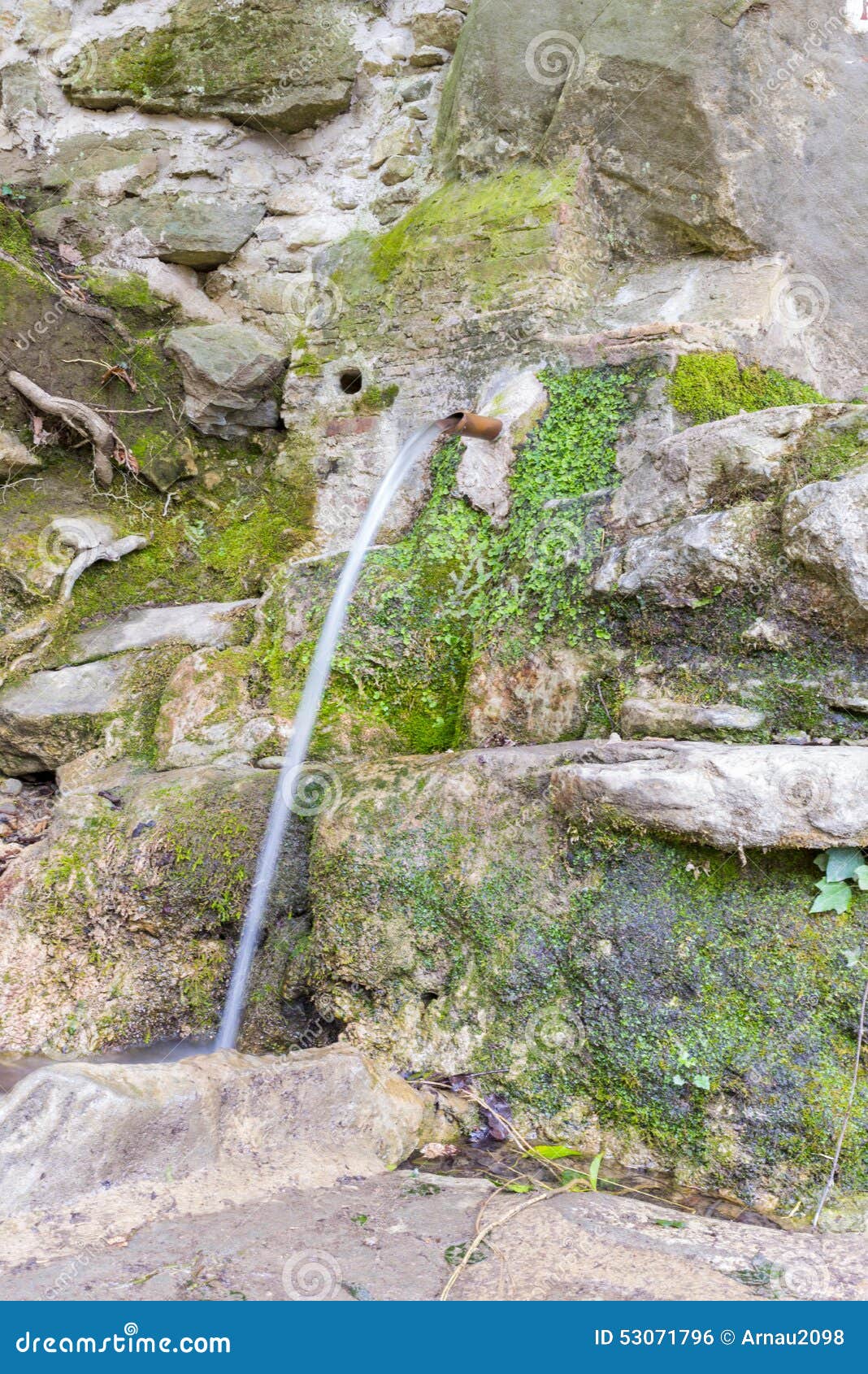 Natural Source of the Mountain Stock Photo - Image of scenic, wild ...