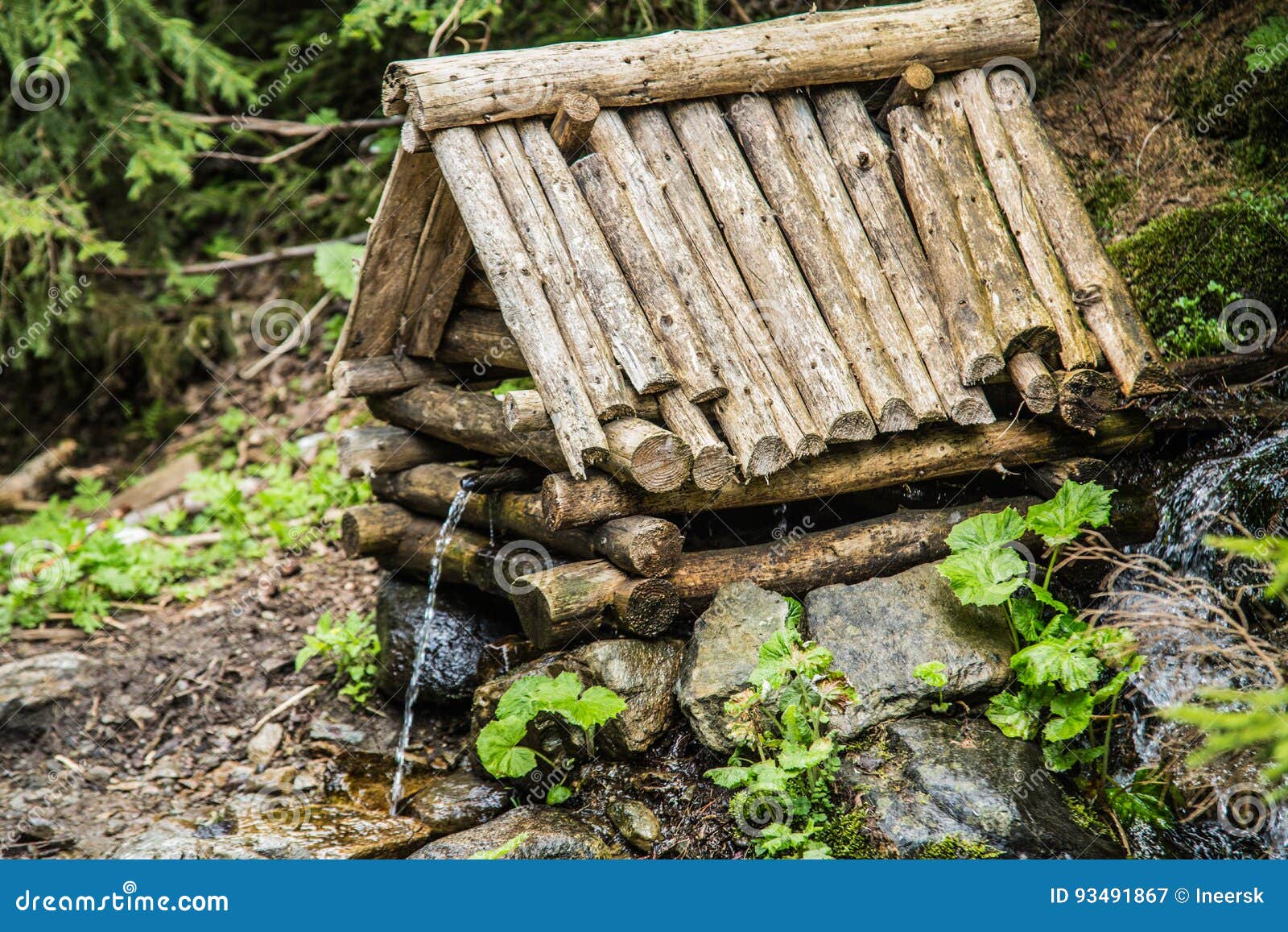 Natural Source of Spring Water in Forest Flowing from a Wooden Well ...