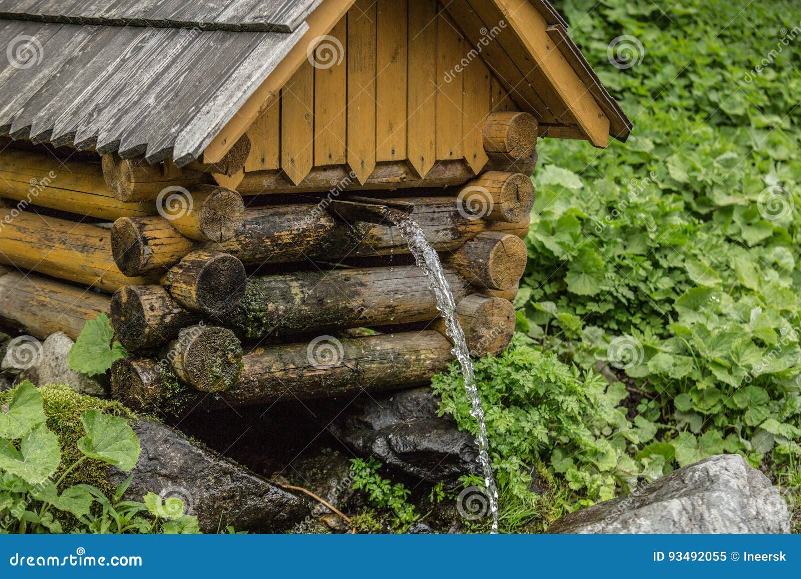 Natural Source of Spring Water in Forest Flowing from a Wooden Well ...