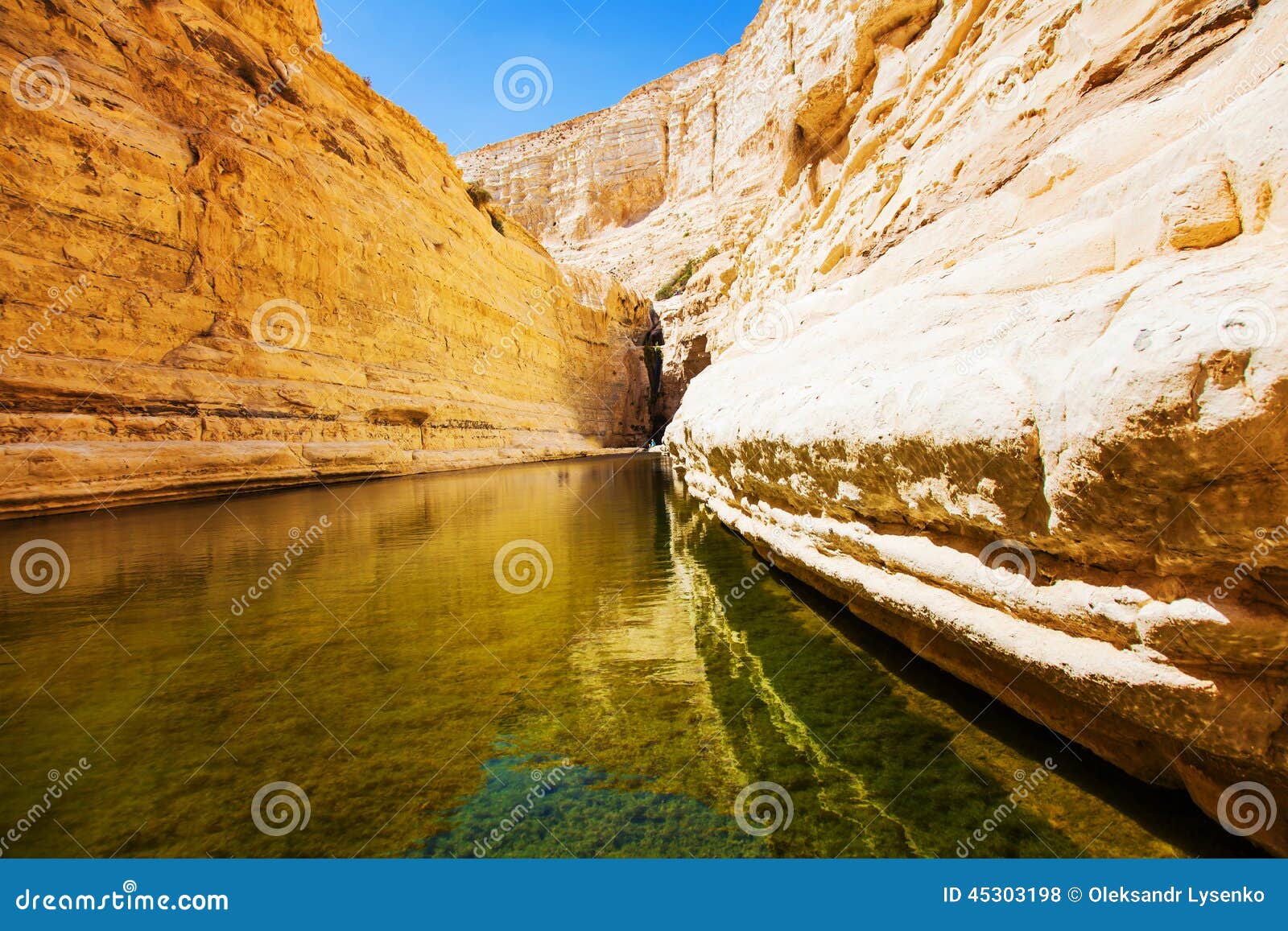 Natural source of water stock photo. Image of deep, nature - 45303198