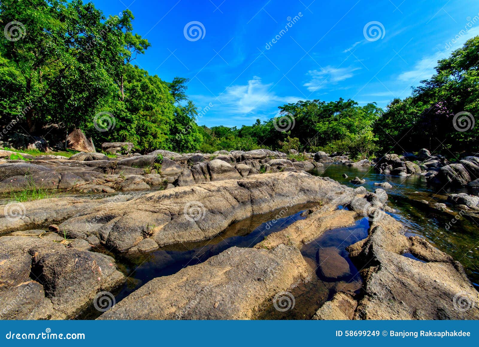 Natural sources stock image. Image of sources, tree, blue - 58699249