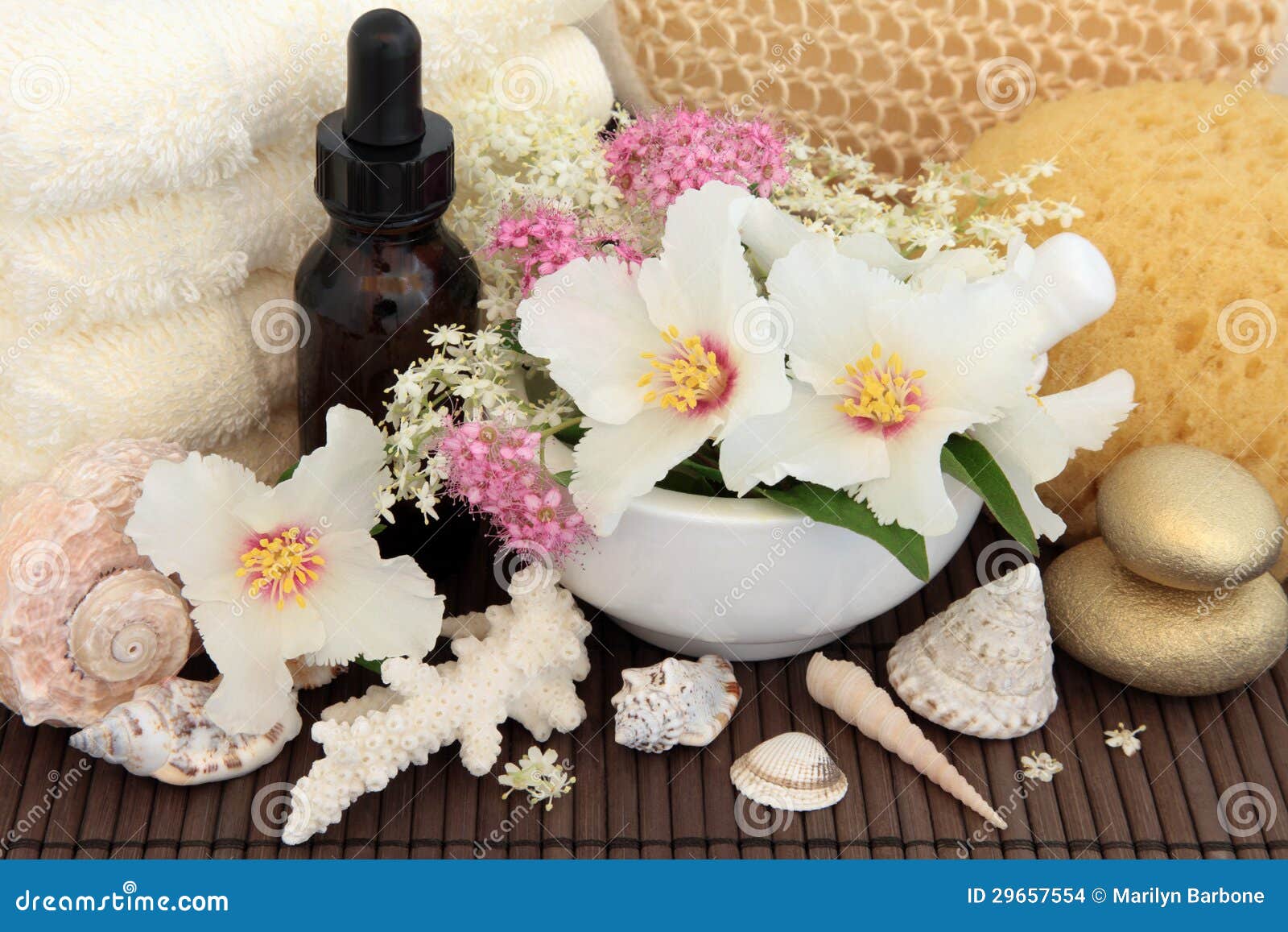 Natural Spa Treatment stock photo. Image of shell, massage - 29657554