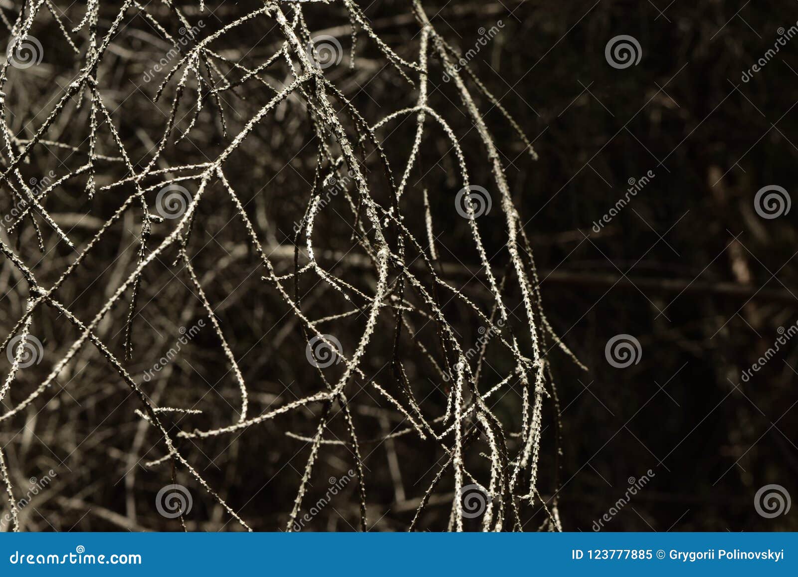 Natural sphere background stock image. Image of like - 123777885