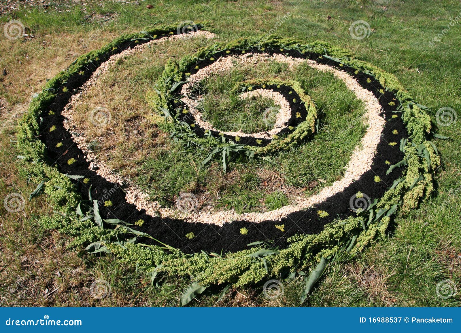 Natural spiral stock image. Image of spiral, circular - 16988537