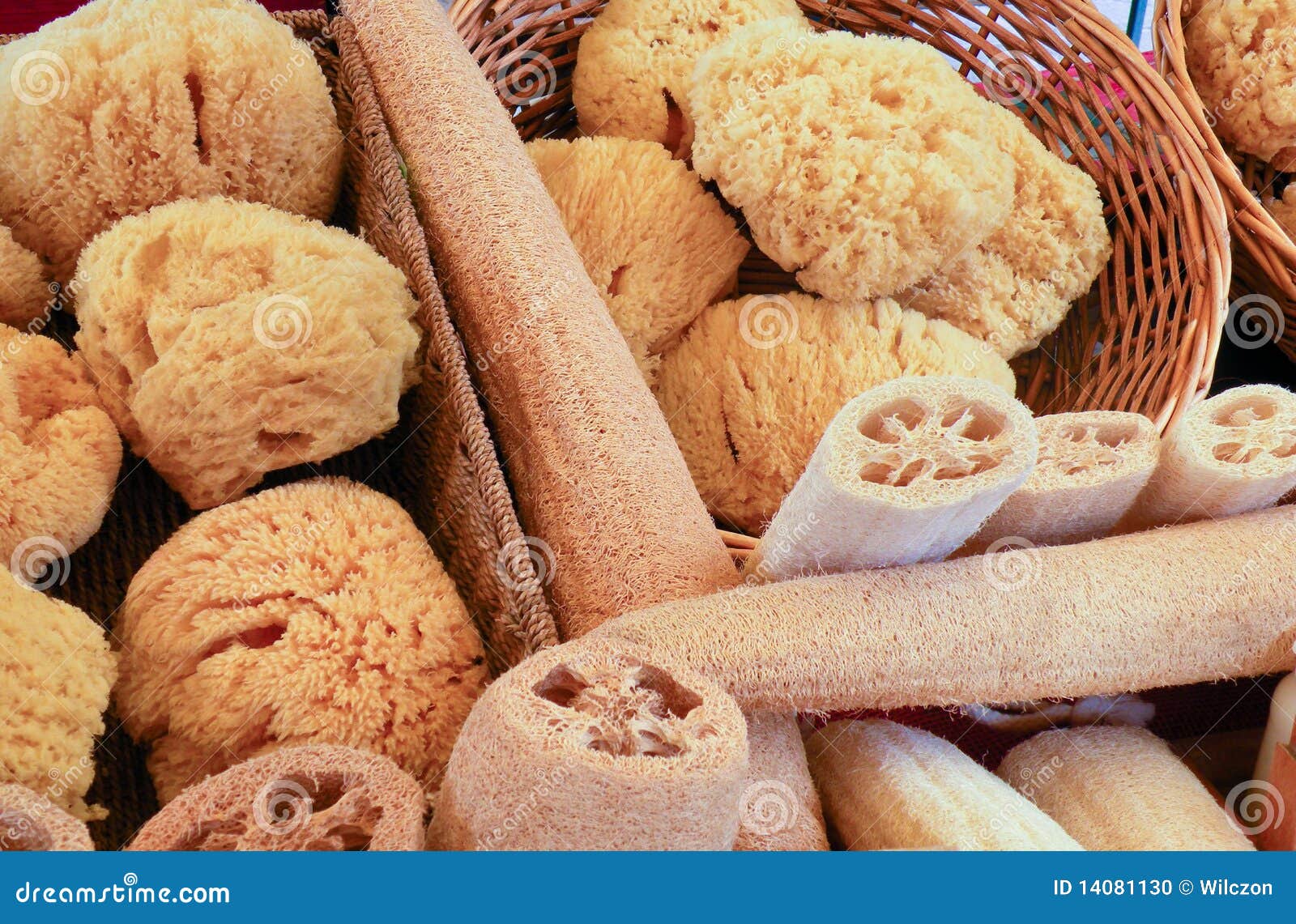 Natural sponge stock photo. Image of sponge, market, natural - 14081130