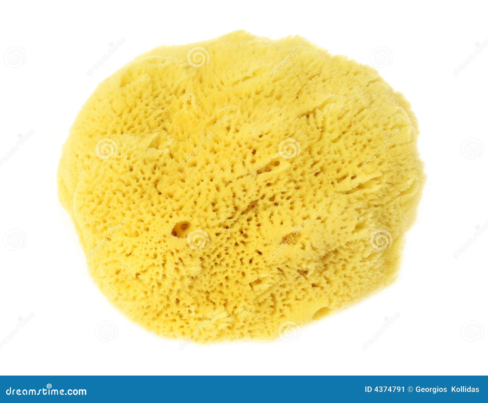 Natural Sponge stock image. Image of bright, clean, natural - 4374791