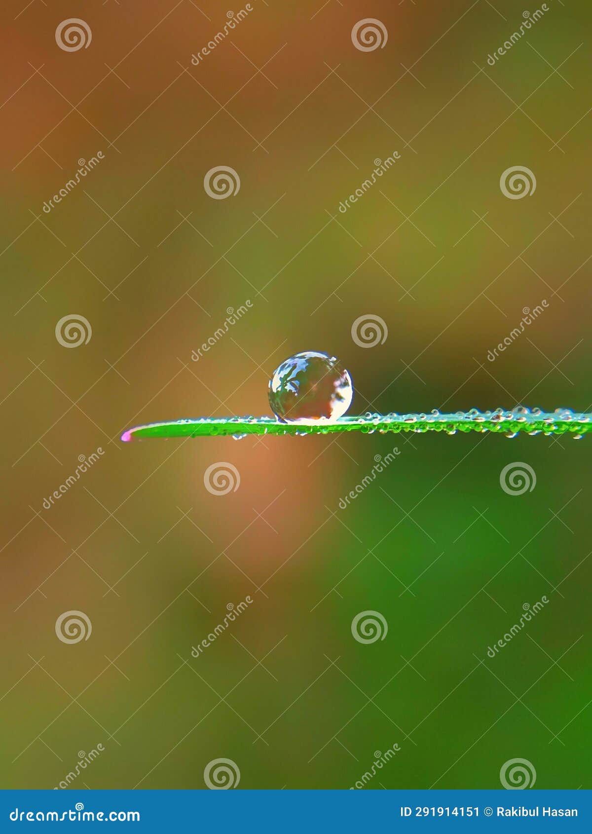 A Natural Spoon (close Up Shot of Waterdrop) Stock Image - Image of ...