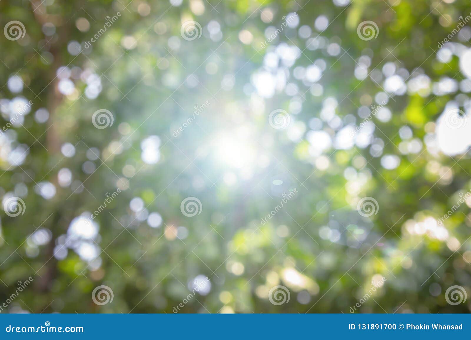 Natural Spring Blurred Green Leaves Background. Create Light Soft ...