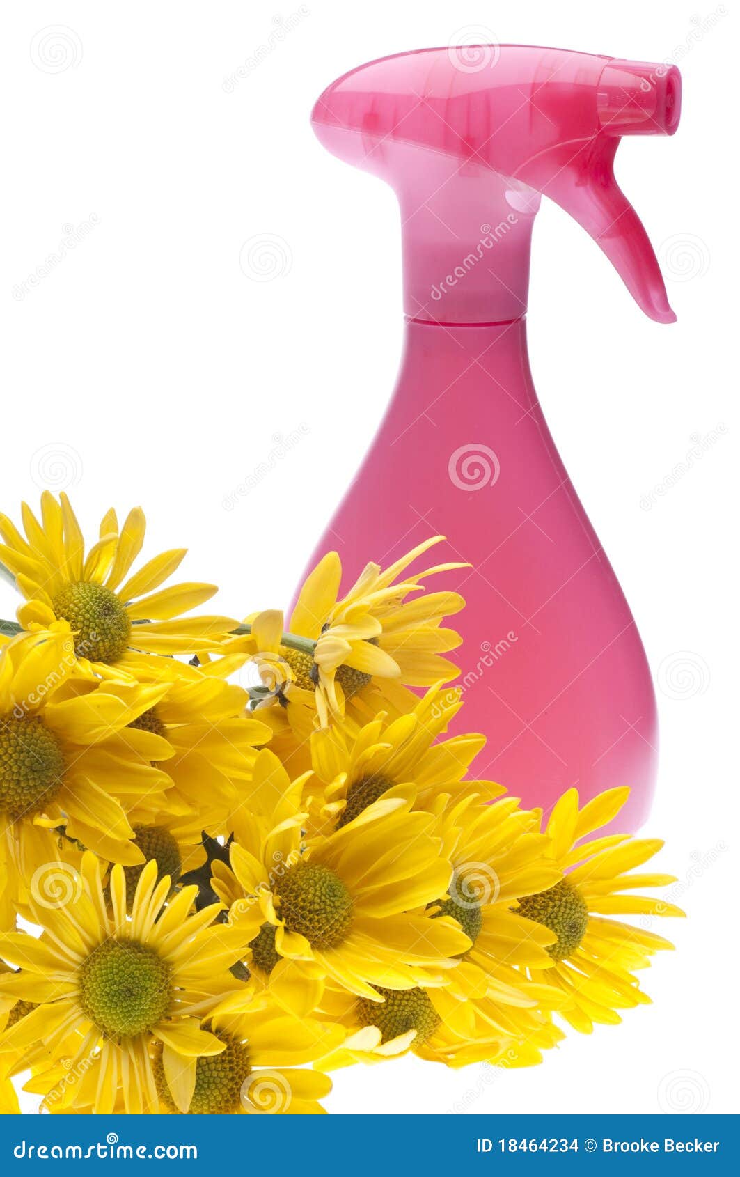 Natural Spring Cleaning Concept Stock Photo - Image of beauty, clean ...