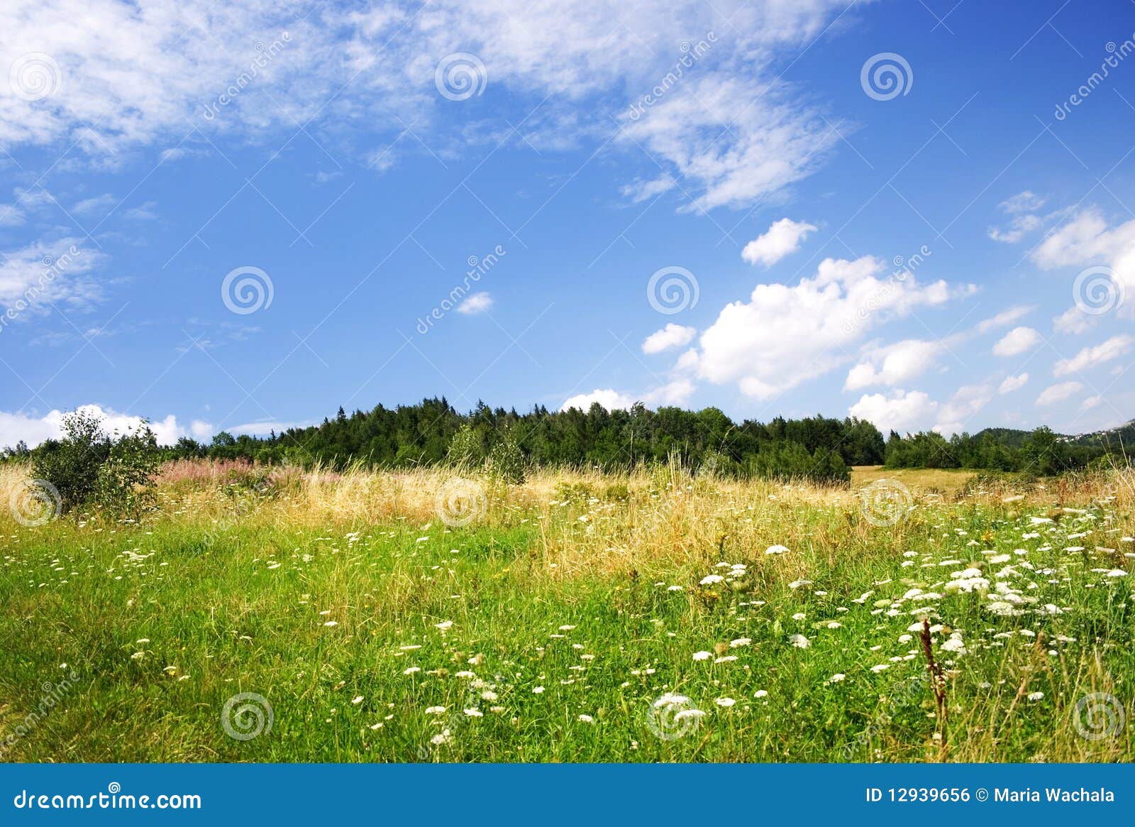 Natural Spring Landscape stock photo. Image of hill, country - 12939656