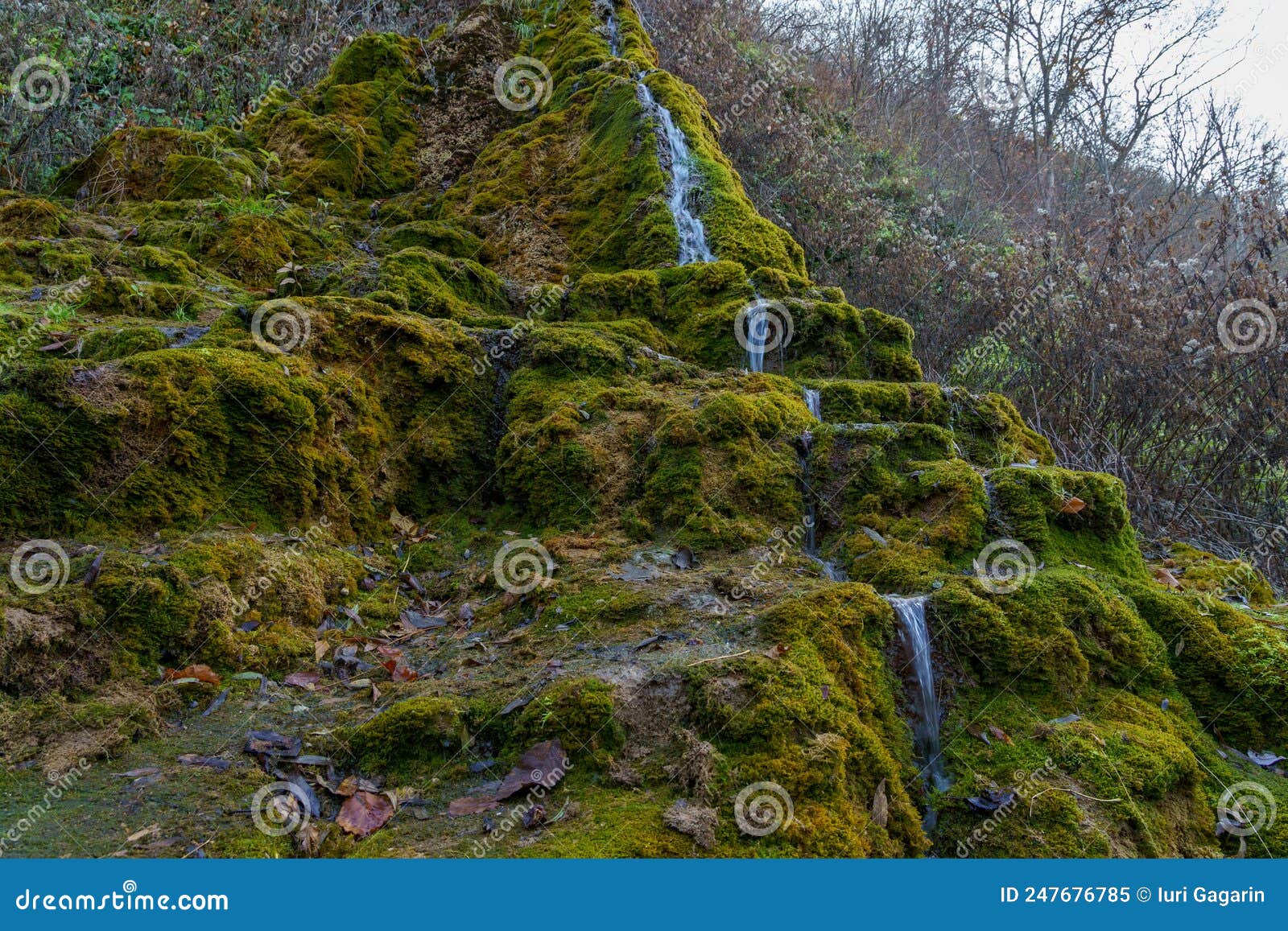 Natural Spring with Mineral Drinking Water in the Wild with Stones ...