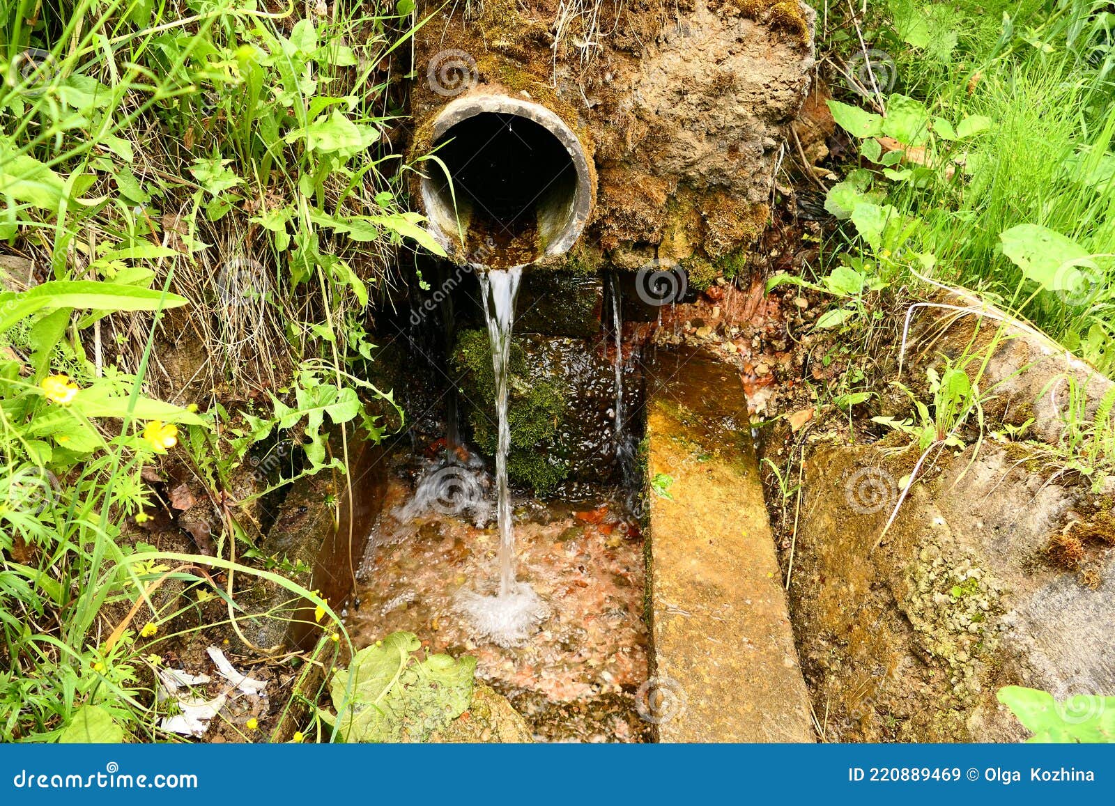 Natural Spring. Pure Spring Water Flows from a Pipe in a Stone Wall in ...