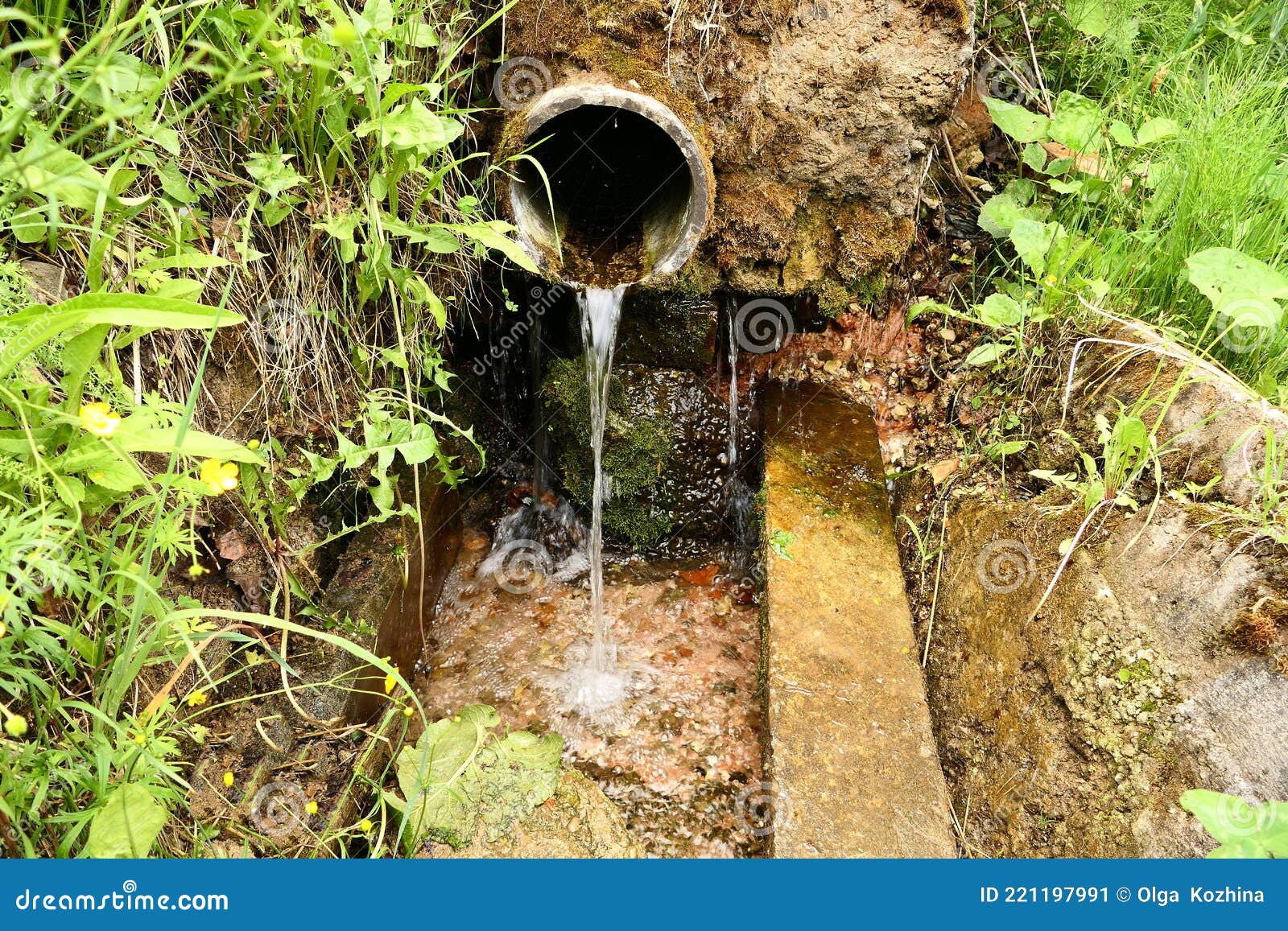 Natural Spring. Pure Spring Water Flows from a Pipe in a Stone Wall in ...