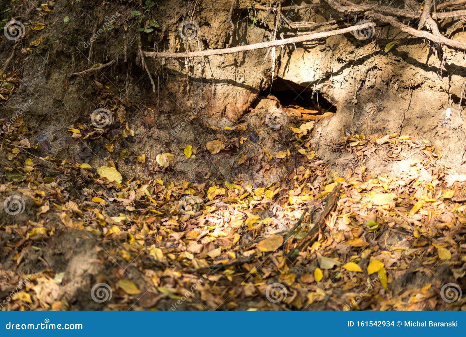 Natural Spring on a Slope of a Gully Landform Stock Photo - Image of ...