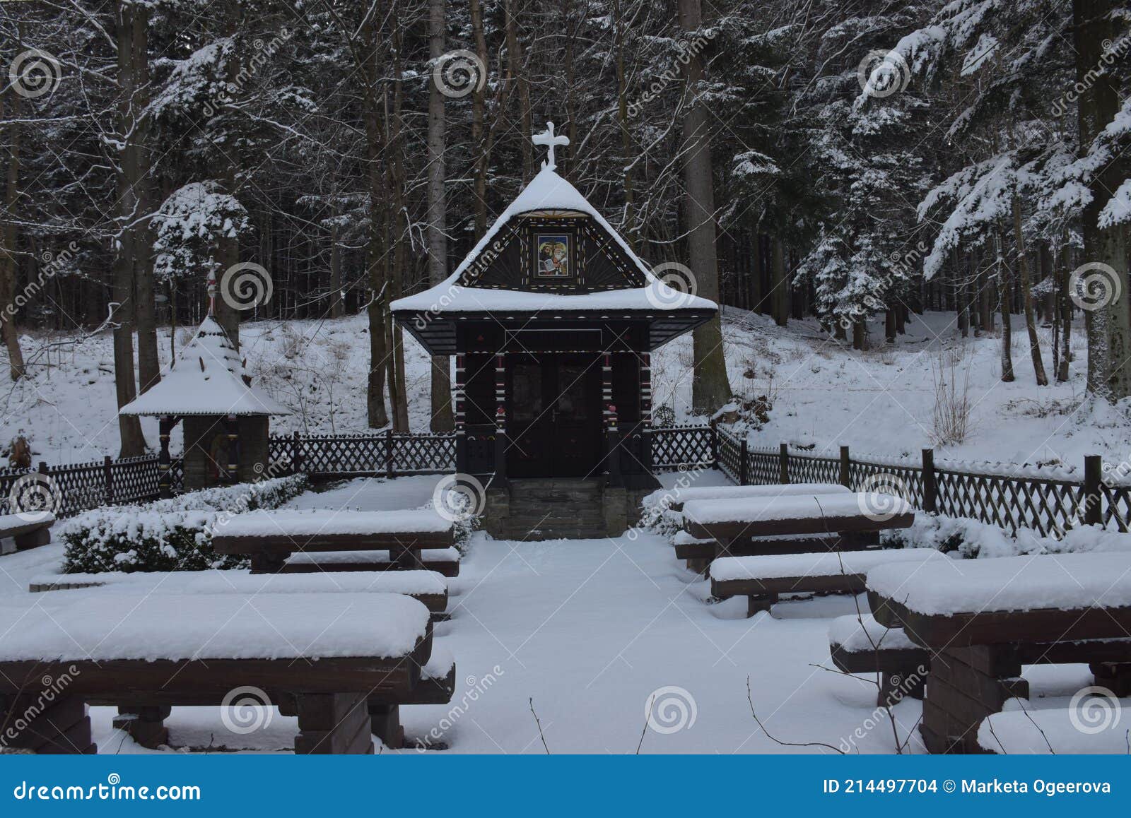 A Natural Spring in Snowy Mountain Stock Photo - Image of forest ...