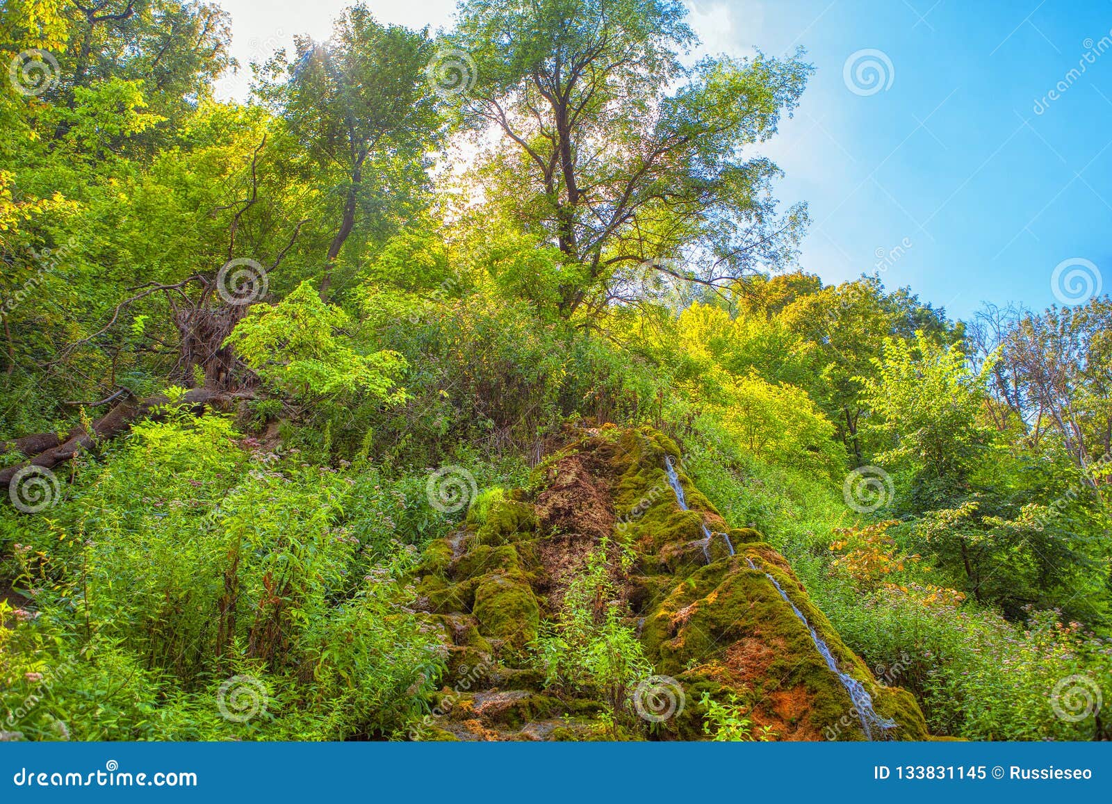 Natural Spring Water Cascade Stock Image - Image of fresh, mountains ...