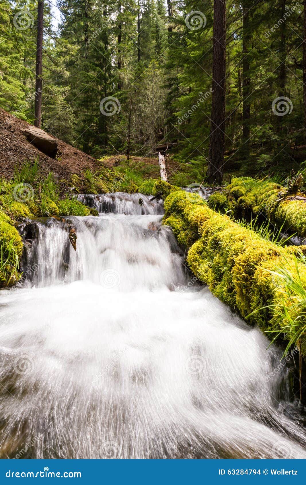 Natural spring water stock photo. Image of coast, resource - 63284794