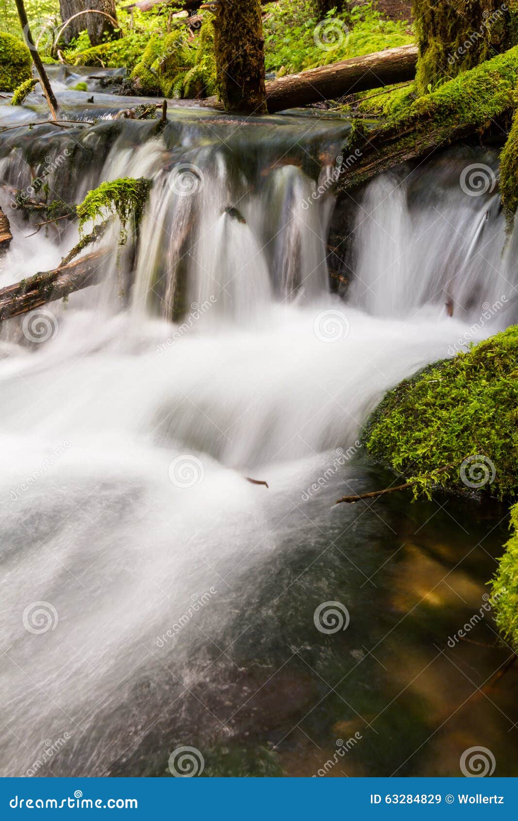 Natural spring water stock image. Image of nature, fresh - 63284829
