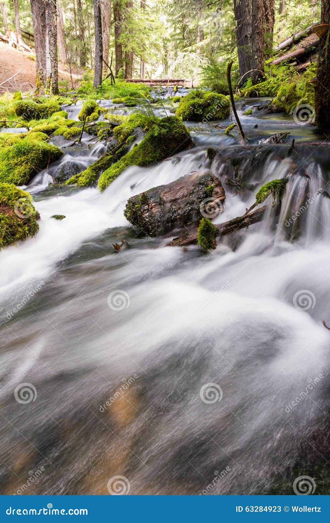 Natural spring water stock image. Image of scenic, creek - 63284923