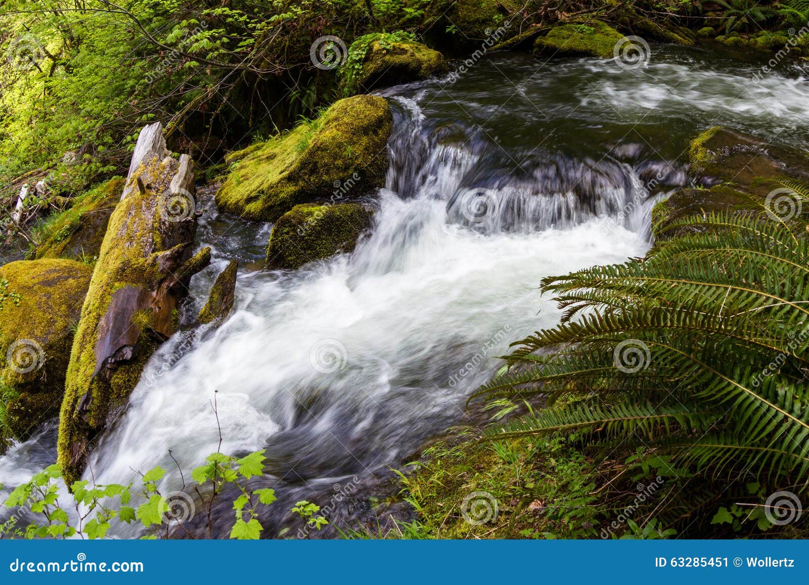 Natural spring water stock image. Image of color, clean - 63285451