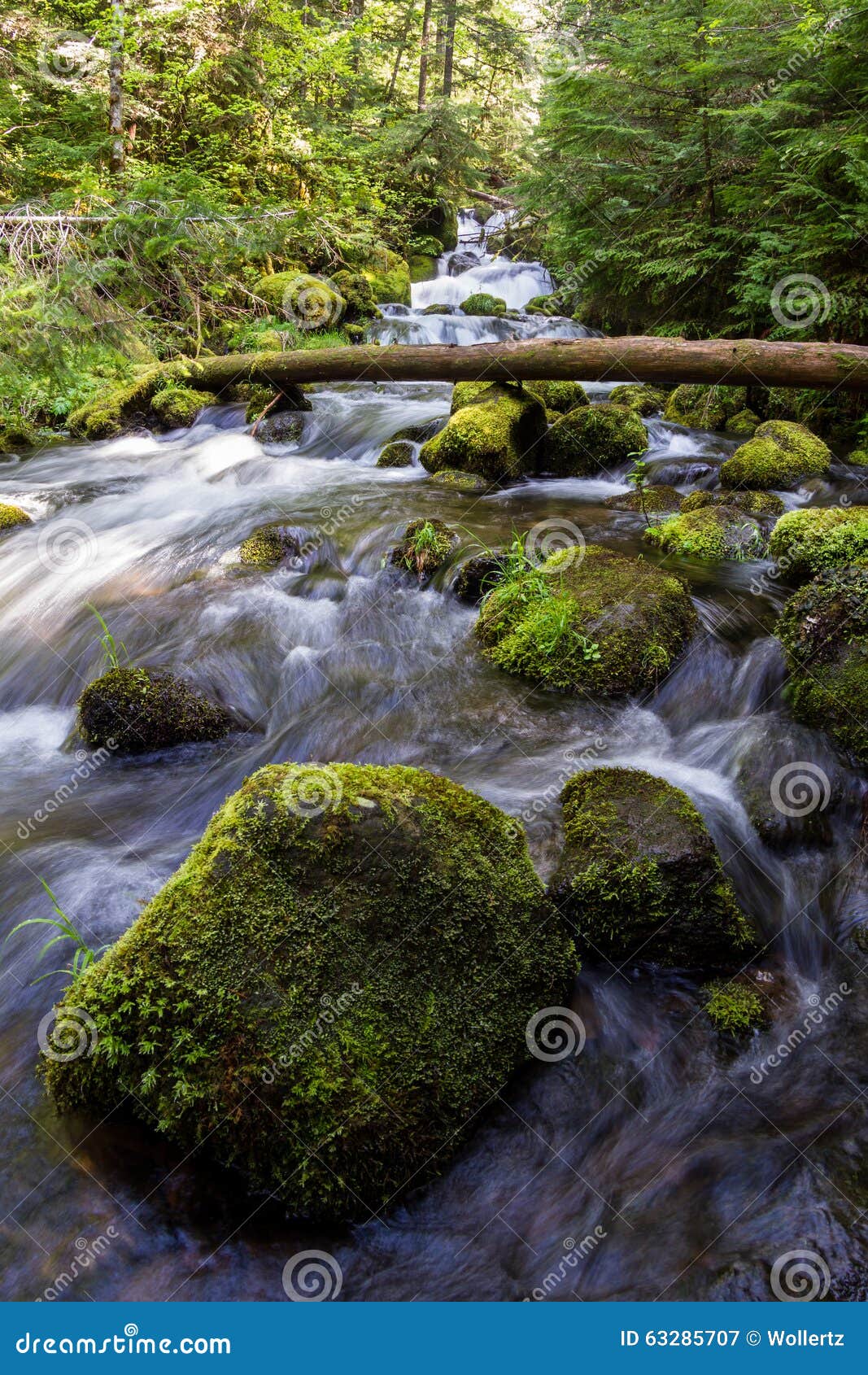 Natural spring water stock image. Image of travel, america - 63285707