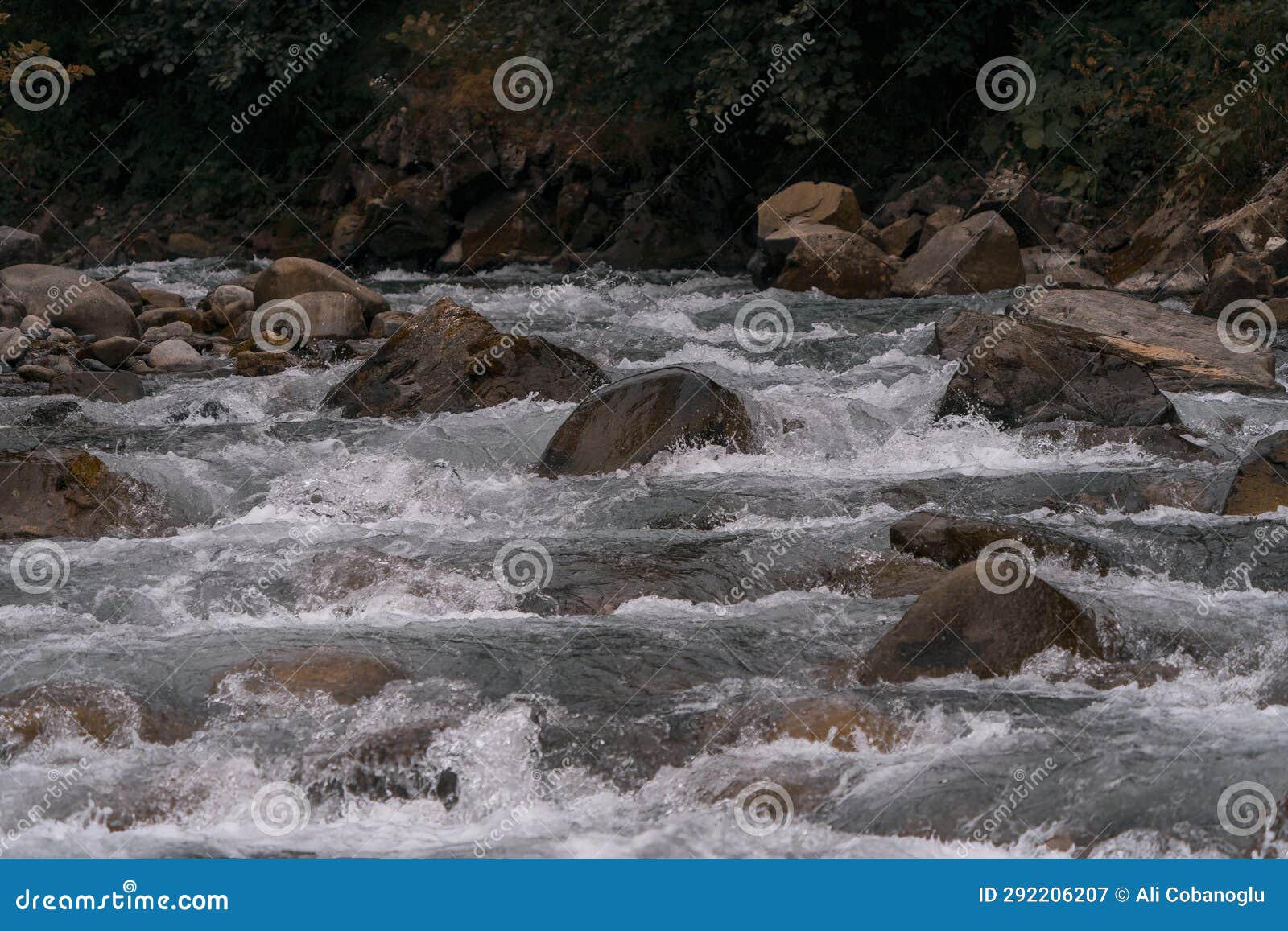 Natural Spring Water Flowing from the Mountains. Stream Stock Image ...