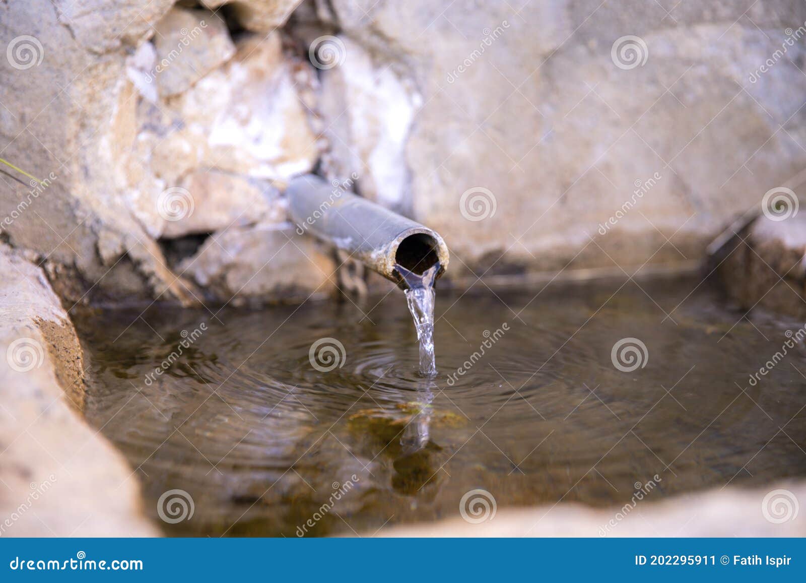Natural Spring Water Flowing from the Pipe and the Water Trough Stock ...