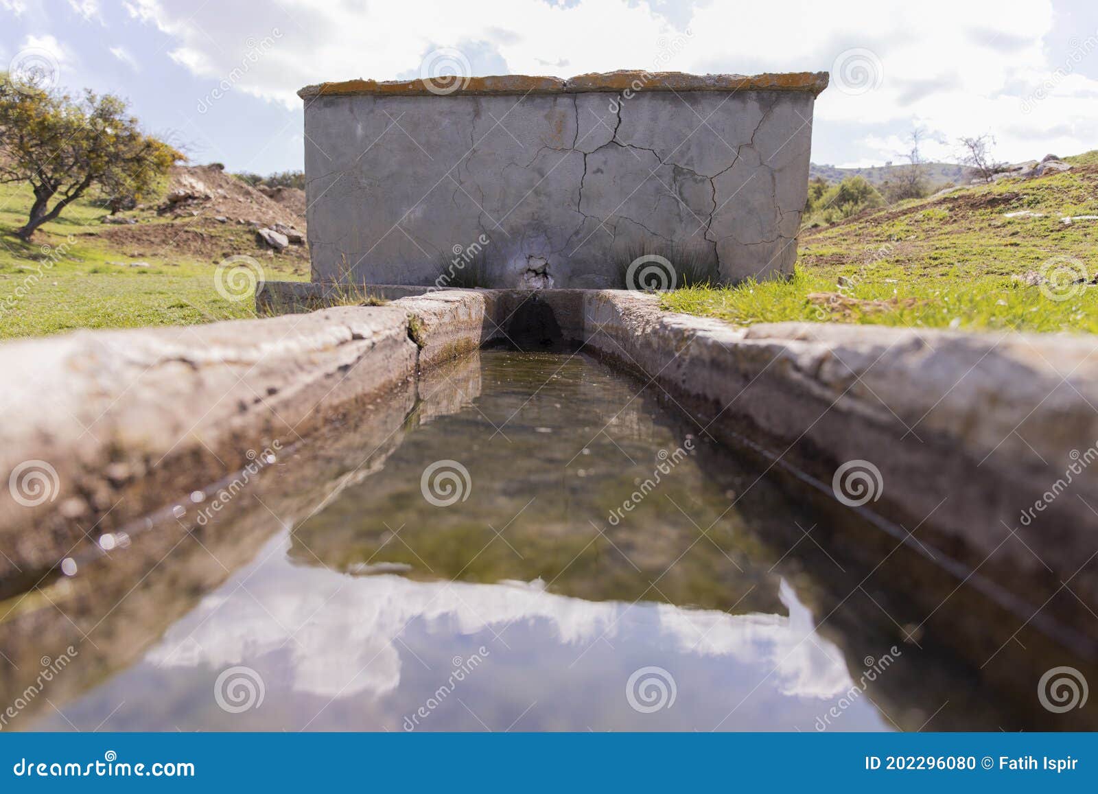 Natural Spring Water Flowing from the Pipe and the Water Trough Stock ...