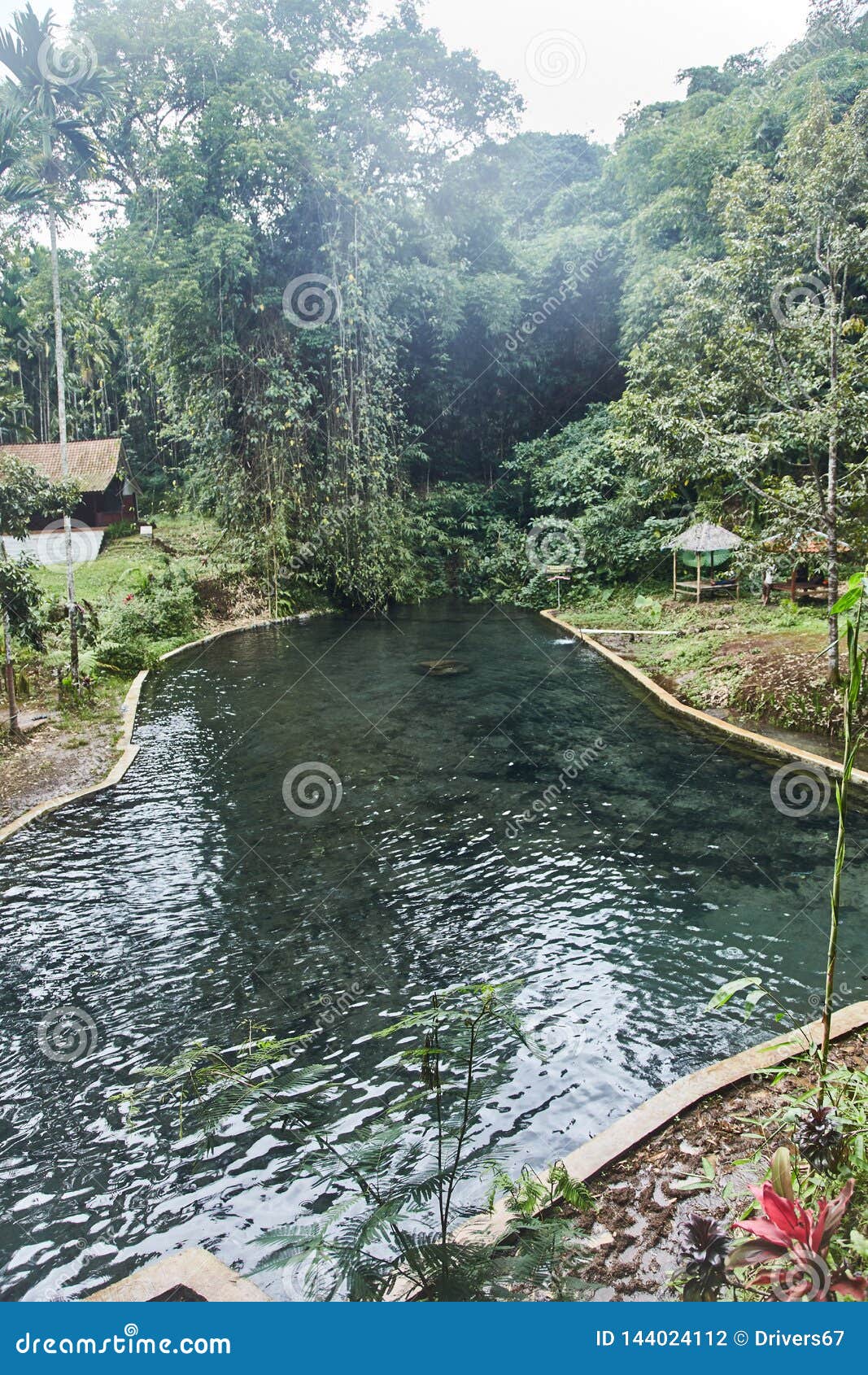 Natural spring water pool. stock photo. Image of cascade - 144024112