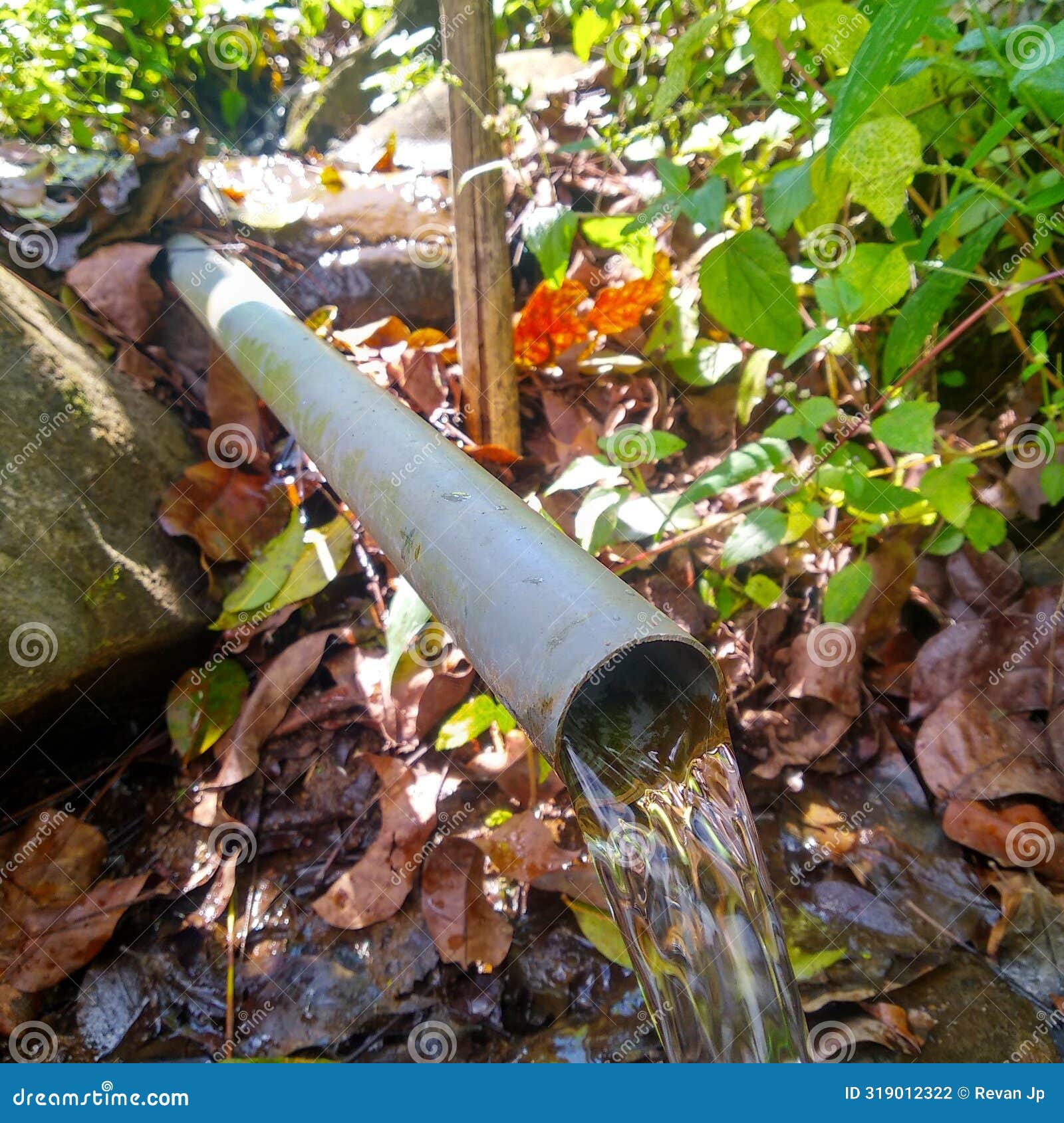 Natural Spring Water Source in the Mountains Stock Photo - Image of ...