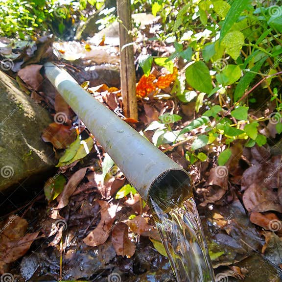 Natural Spring Water Source in the Mountains Stock Photo - Image of ...
