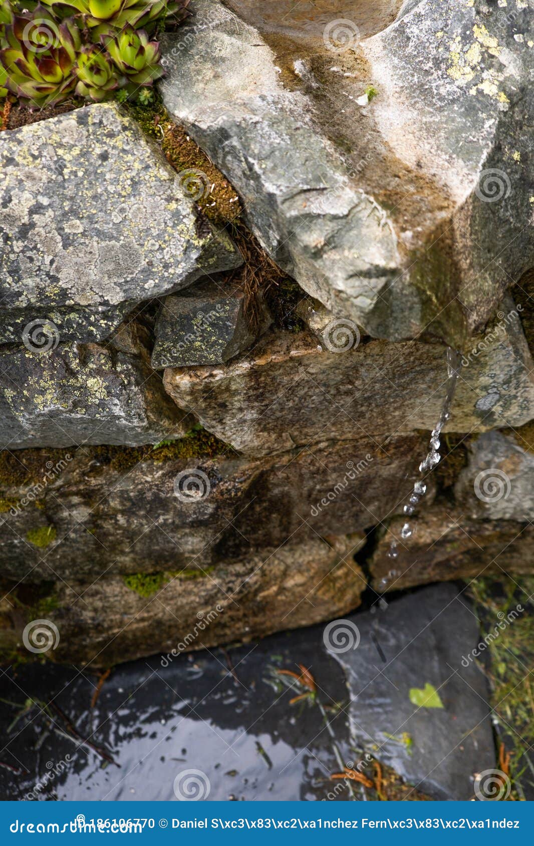 Natural Spring Water Source among Stones Stock Photo - Image of chill ...