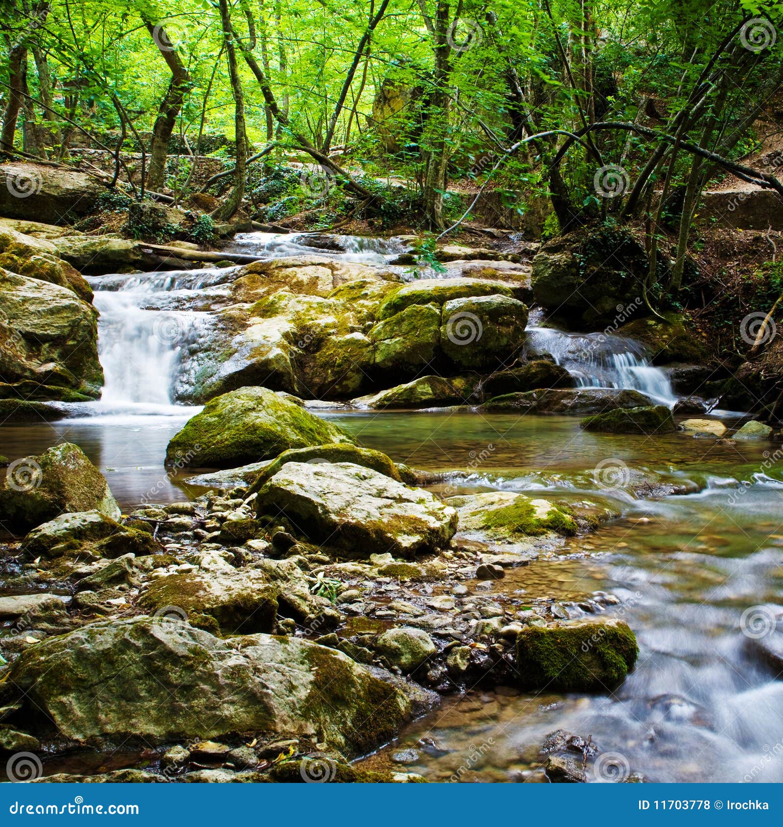 Natural Spring Waterfall stock photo. Image of cascade - 11703778