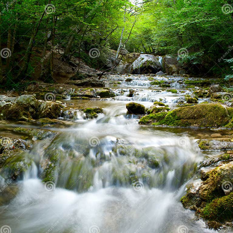 Natural Spring Waterfall stock photo. Image of clean - 12018944