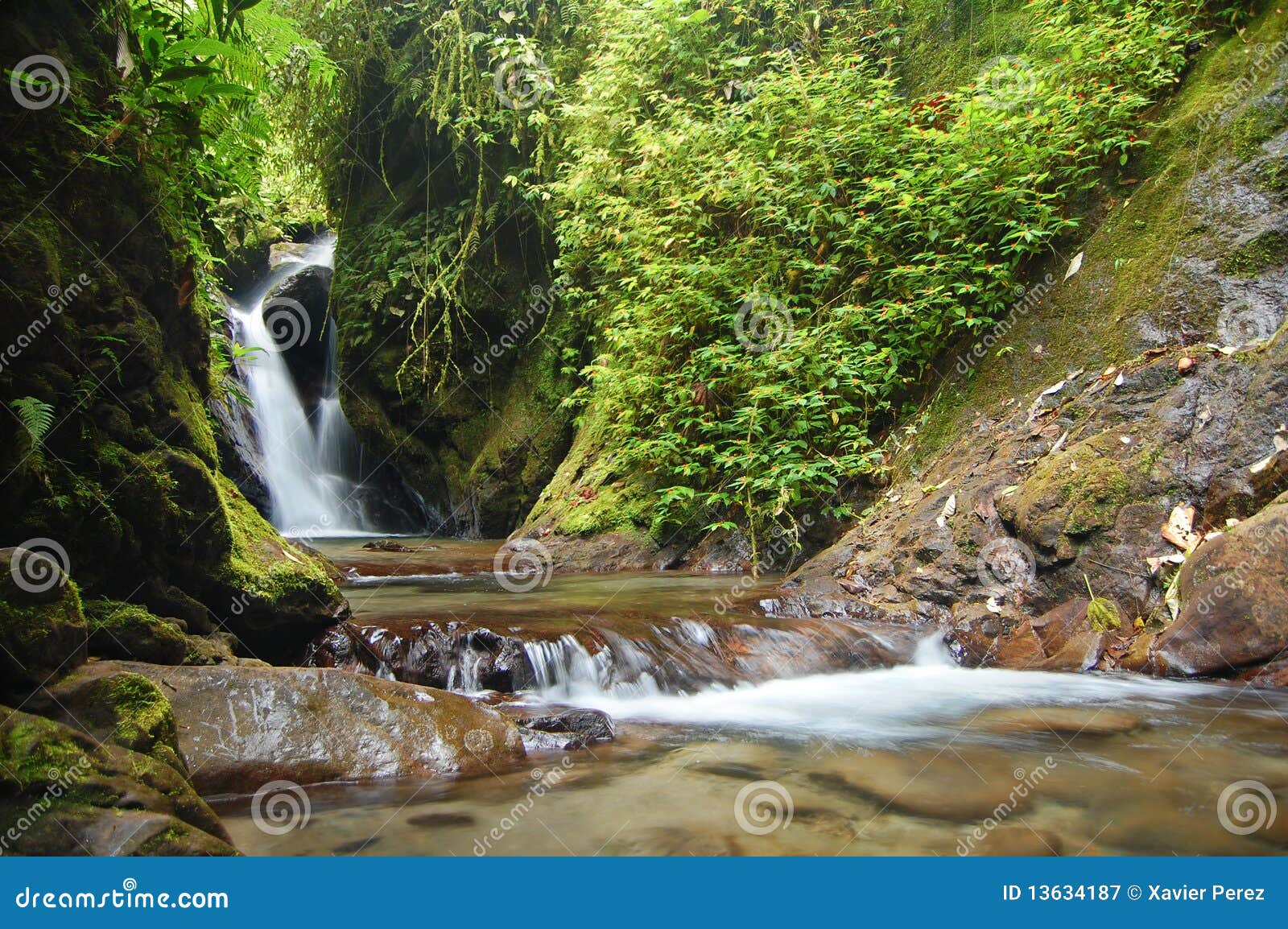 Natural Spring Waterfall stock image. Image of beautiful - 13634187
