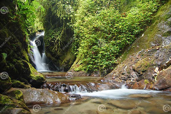 Natural Spring Waterfall stock image. Image of beautiful - 13634187