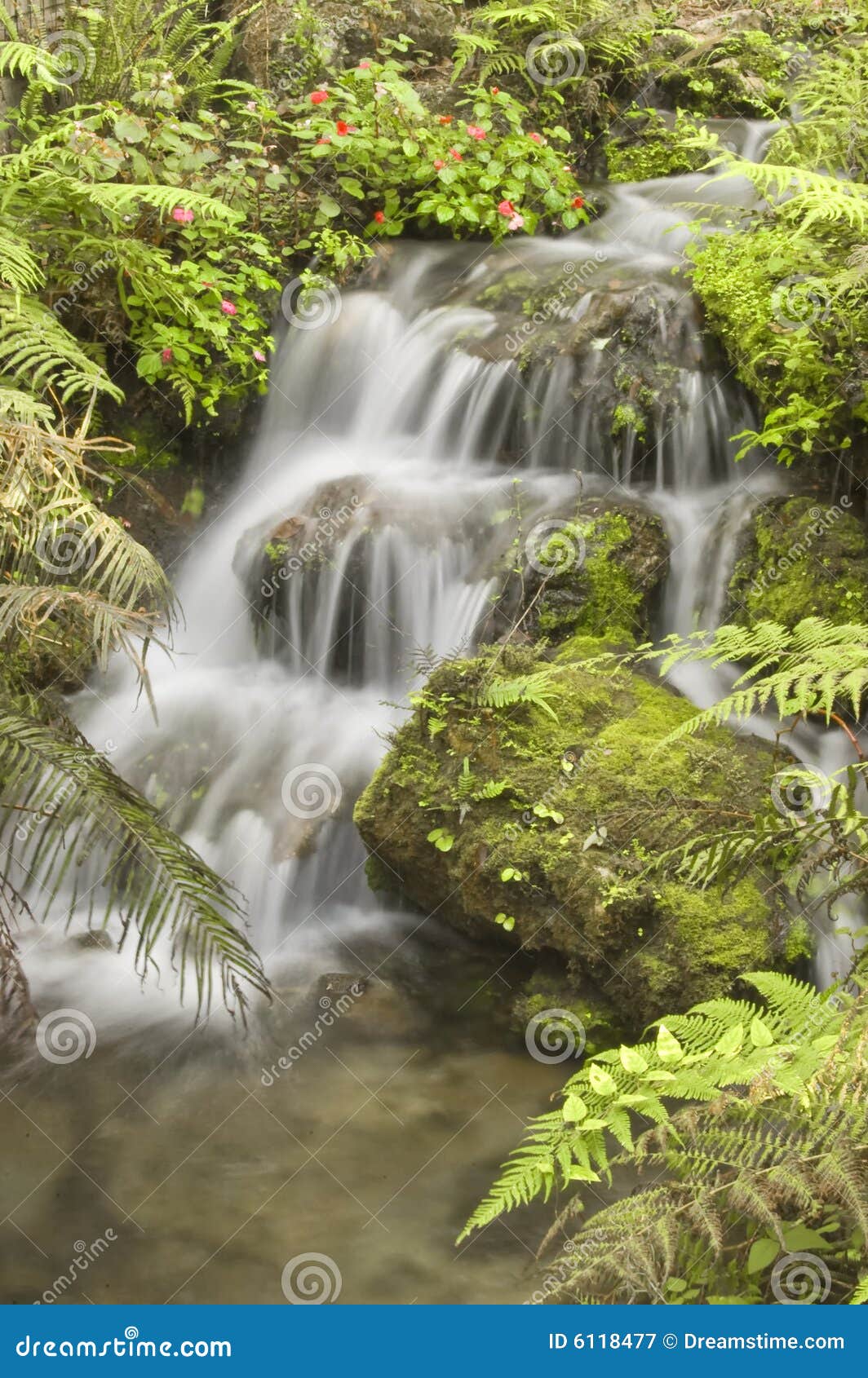 Natural Spring Waterfall stock image. Image of scene, florida - 6118477