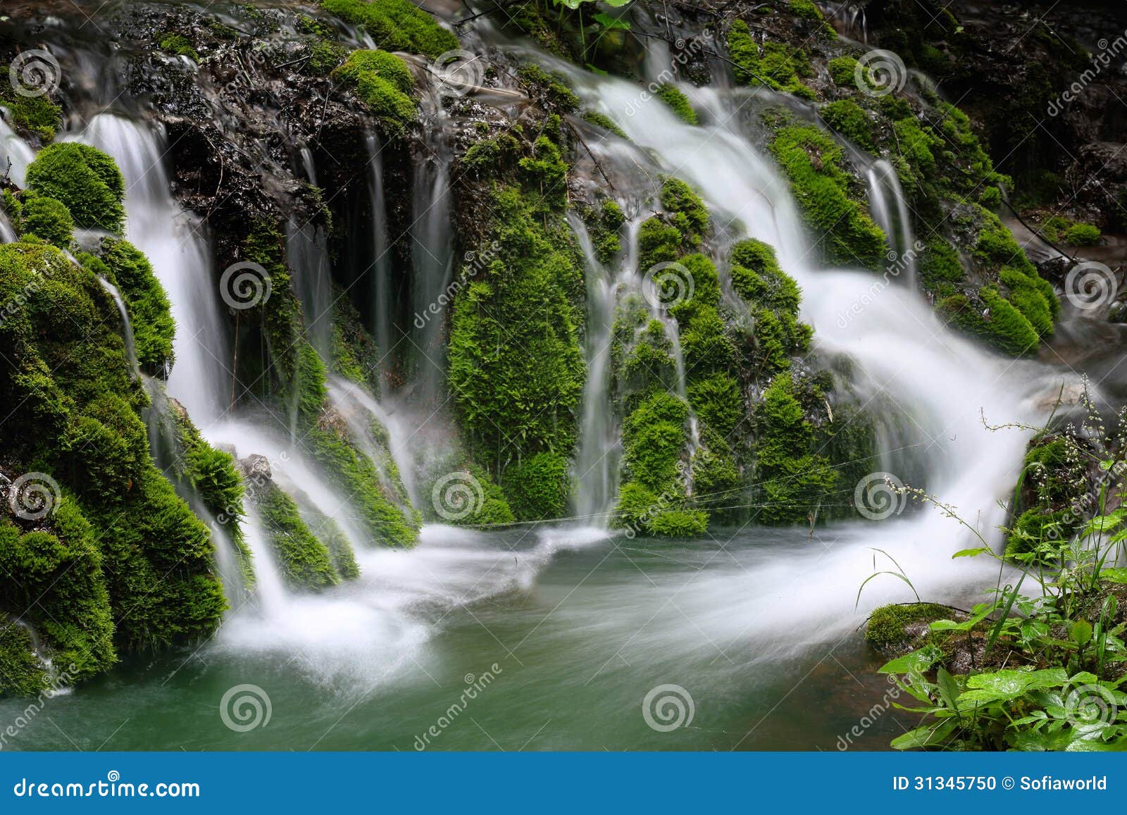 Natural spring waterfall stock photo. Image of plants - 31345750