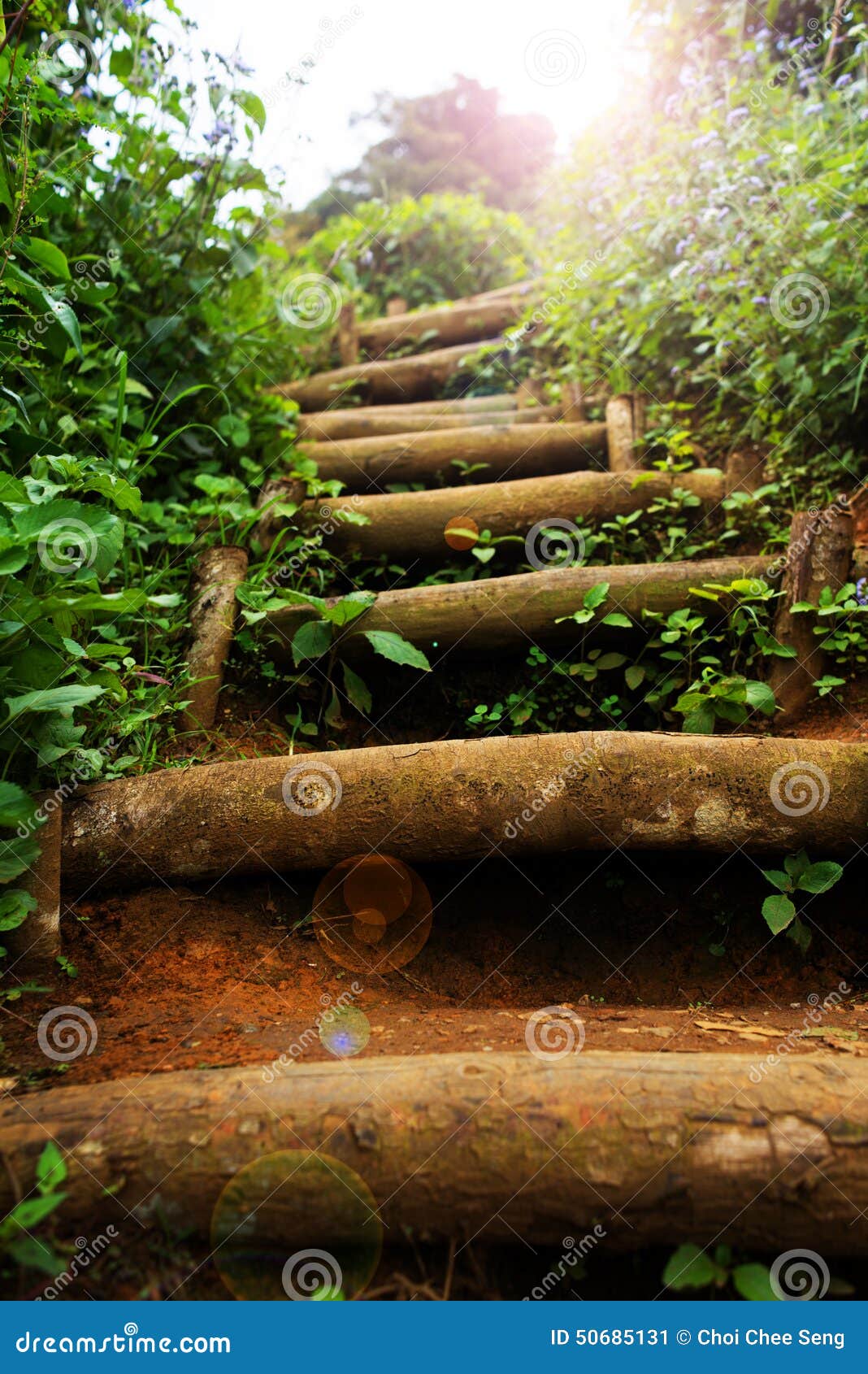 Natural staircase stock image. Image of staircase, sunset - 50685131