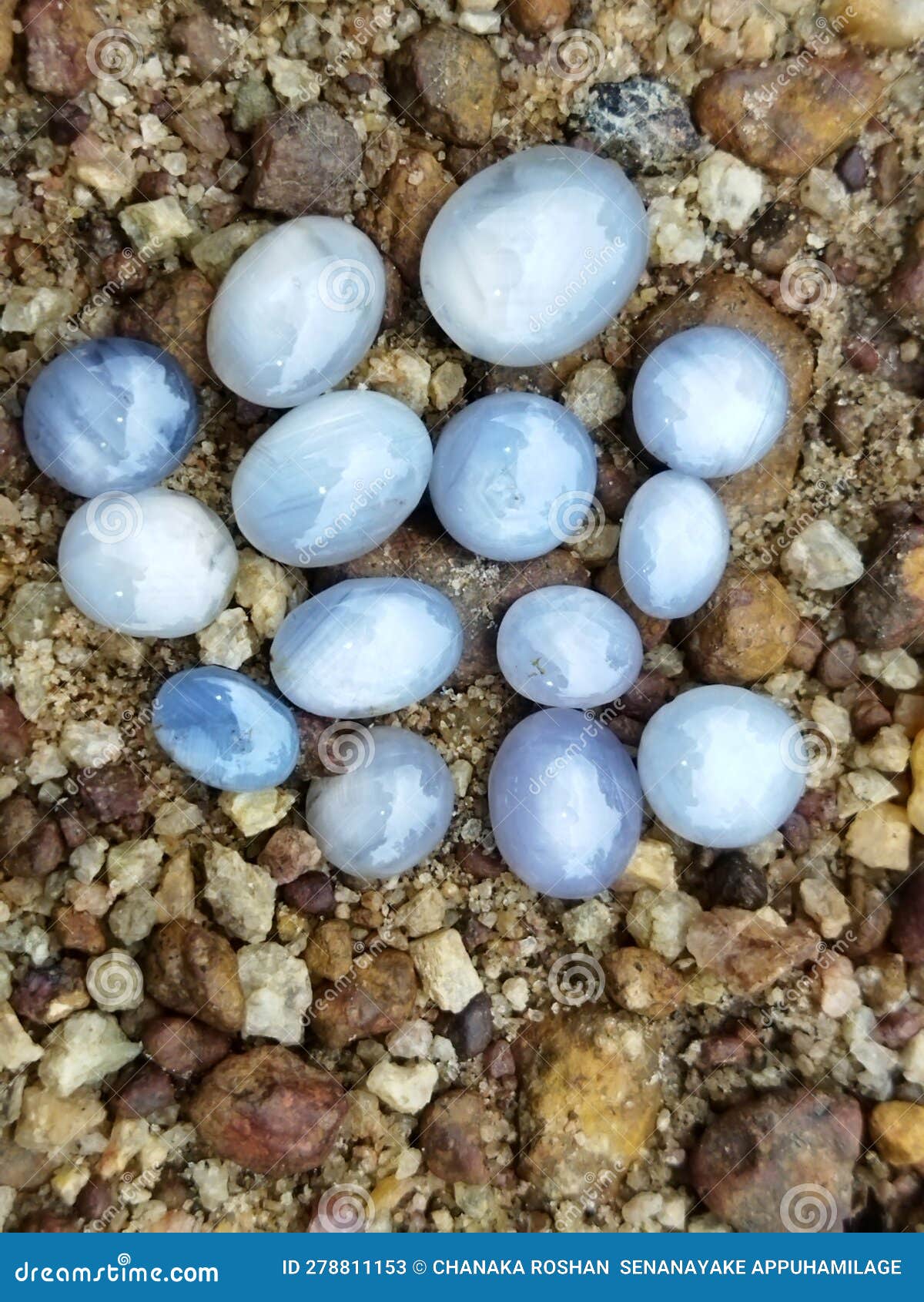 NATURAL STAR SAPPHIRE stock image. Image of balangoda - 278811153