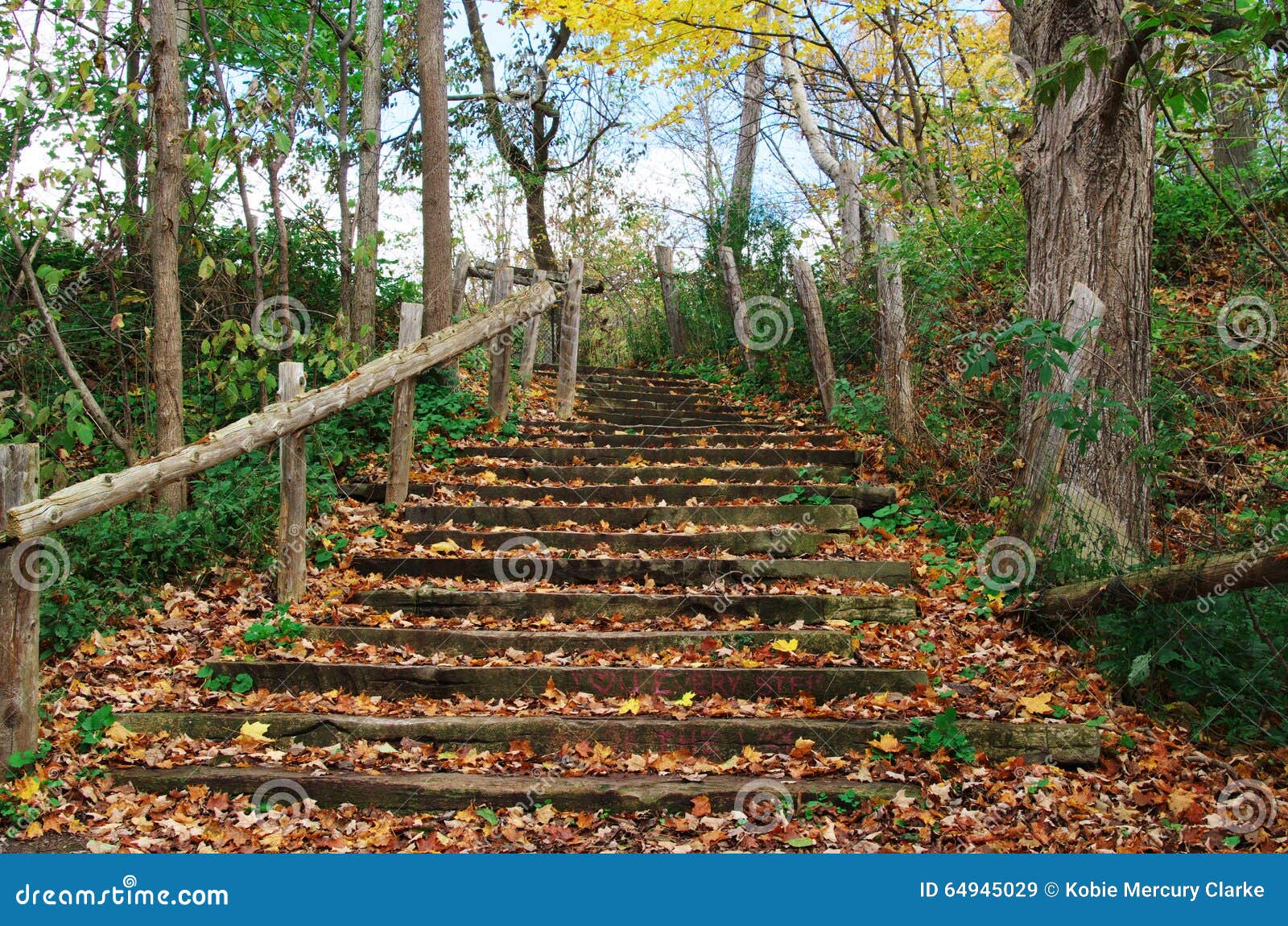 Natural Steps and a Railing with Fall Leaves All Around Stock Image ...