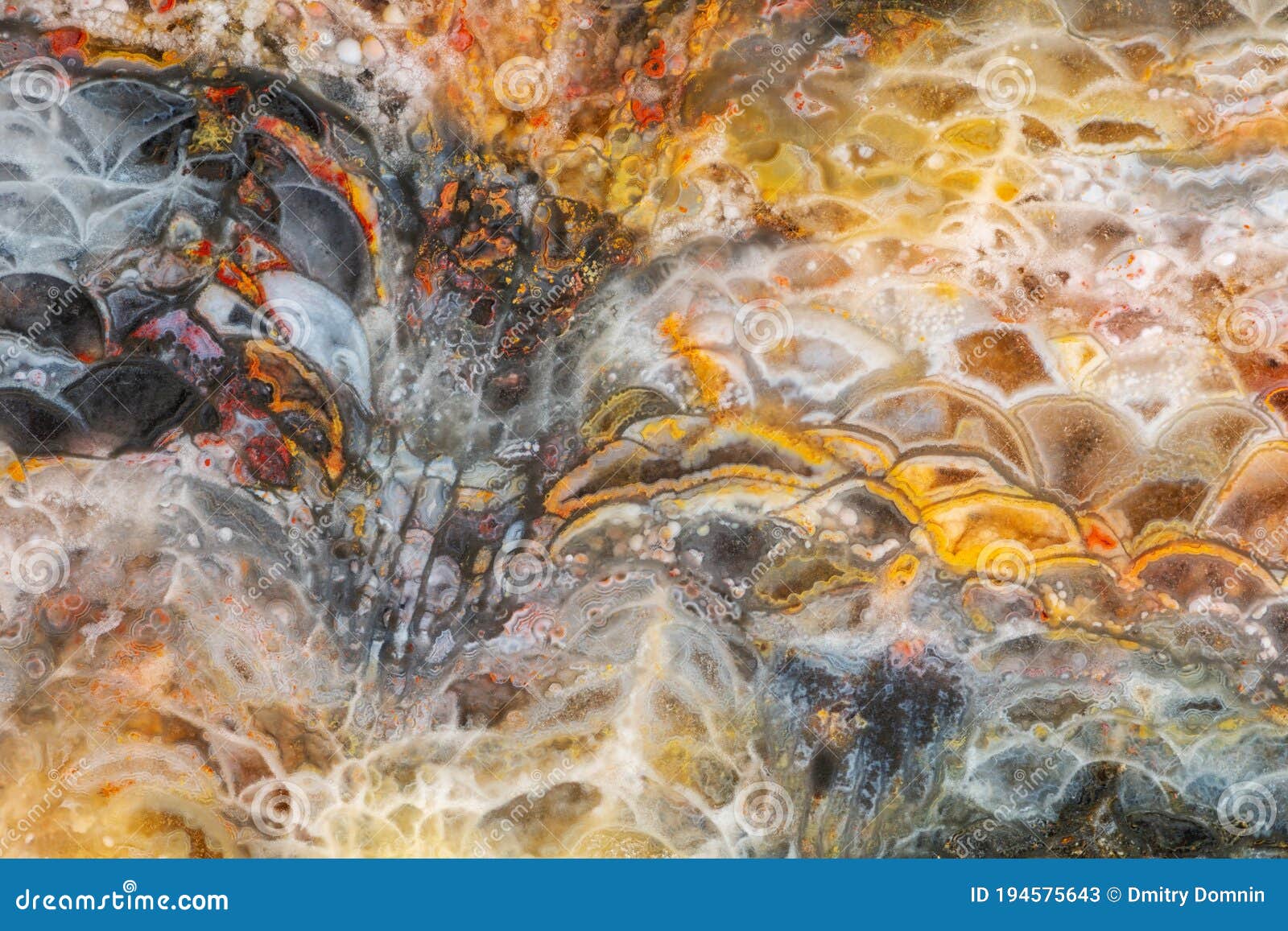 Natural Stone Background. Multicolored Agate in the Fossilized Coral ...