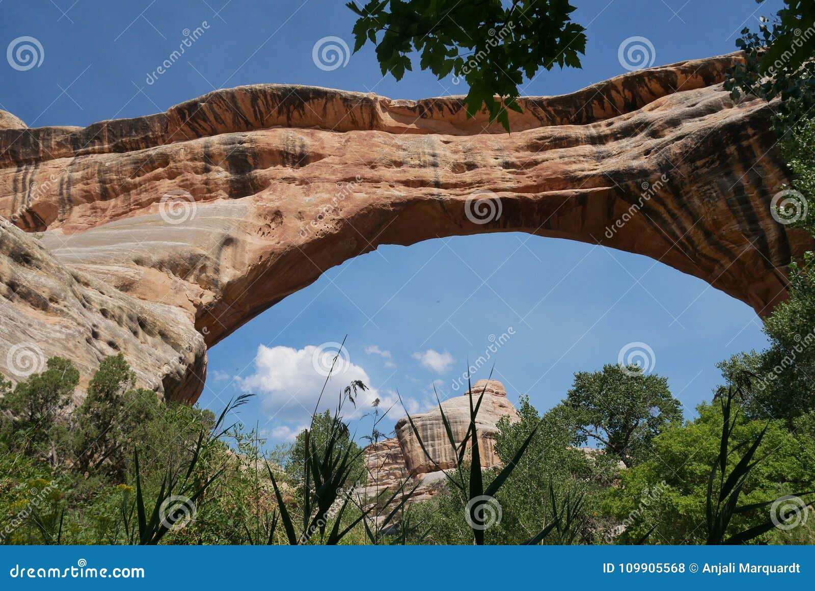 Stone Bridge stock photo. Image of bridge, utah, stone - 109905568