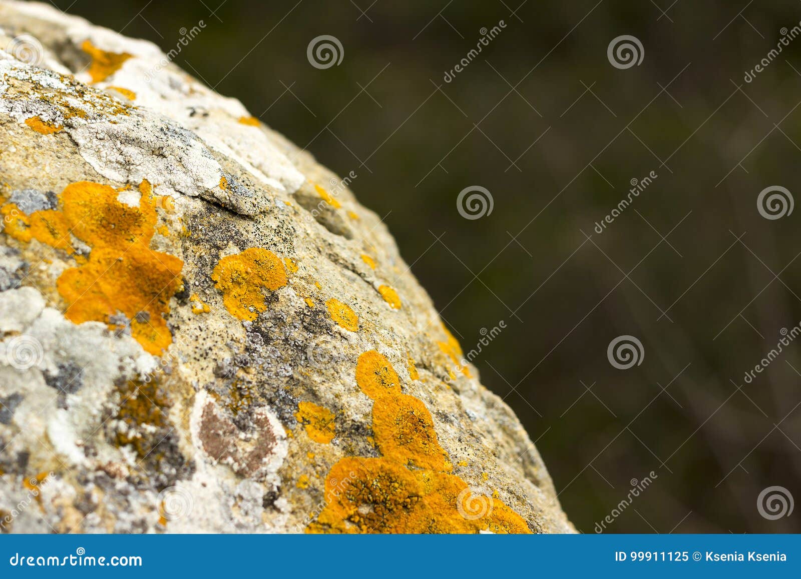 Natural Stone Covered with Lichen Texture Stock Image - Image of ...