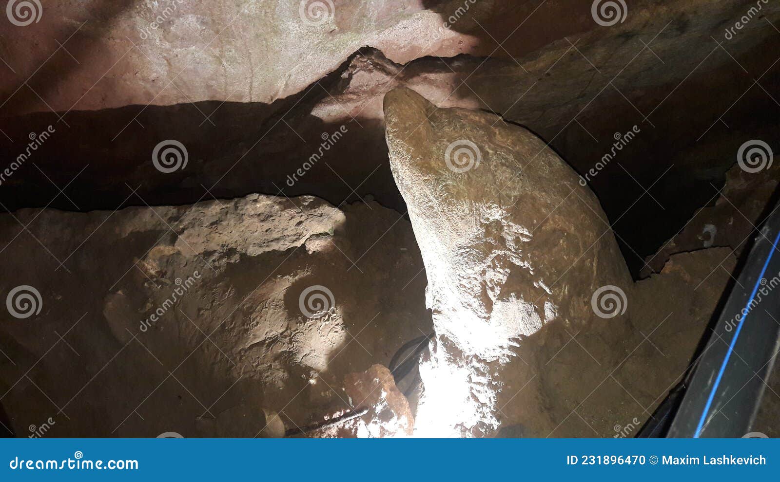 Natural Stone Dolphin Inside the Cave Stock Photo - Image of geology ...