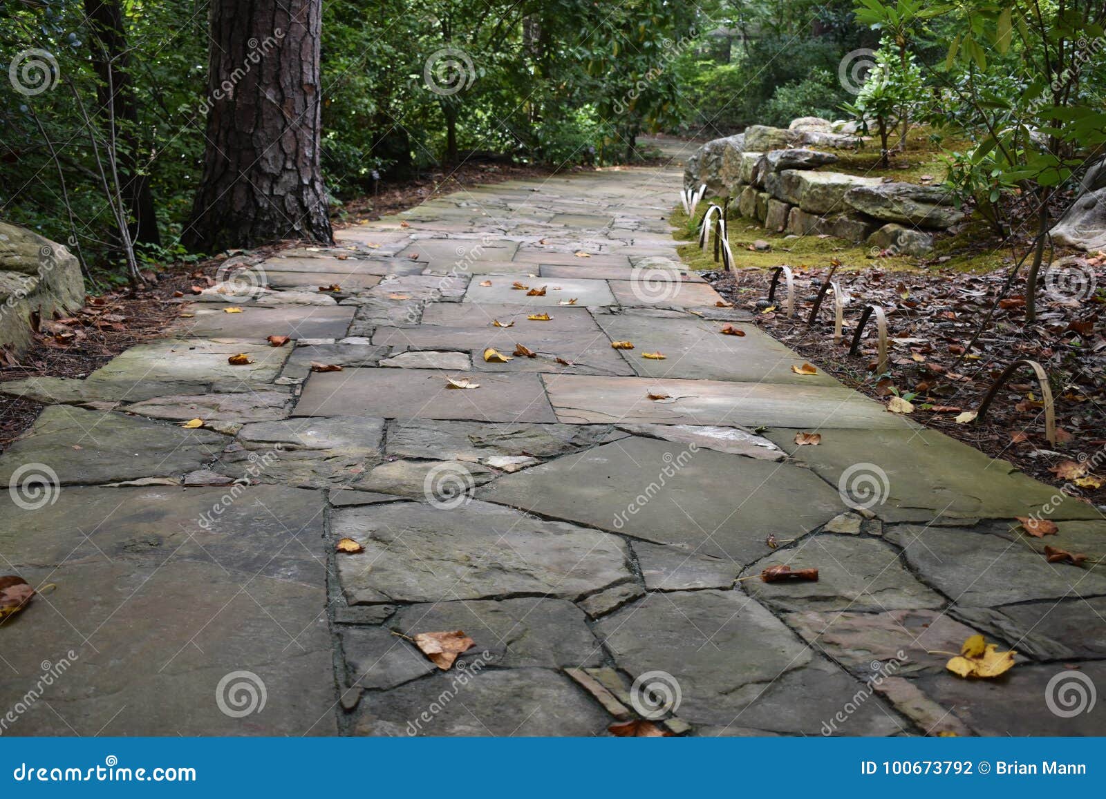 Natural Stone Footpath stock photo. Image of natural - 100673792