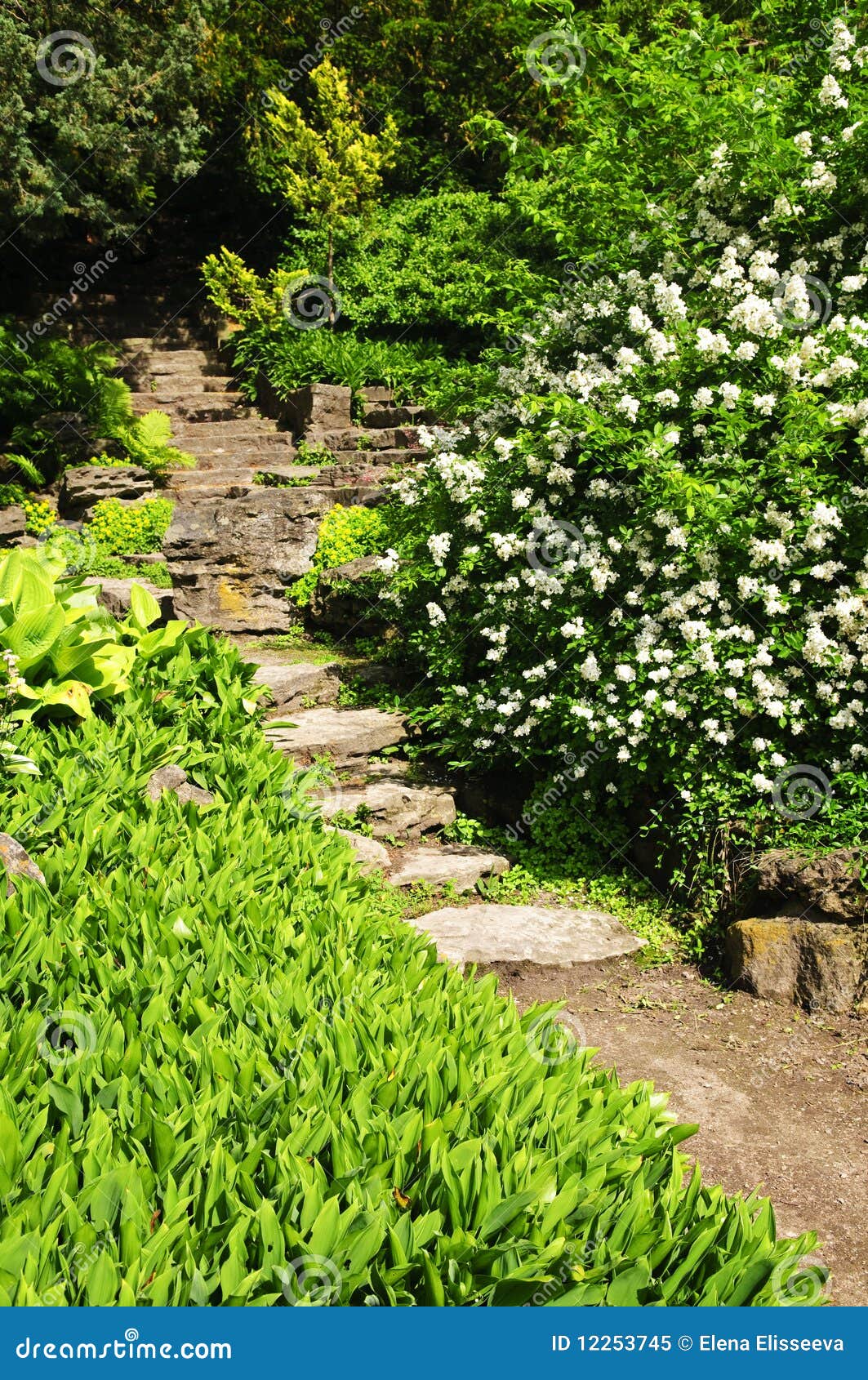 Natural stone garden steps stock image. Image of park - 12253745