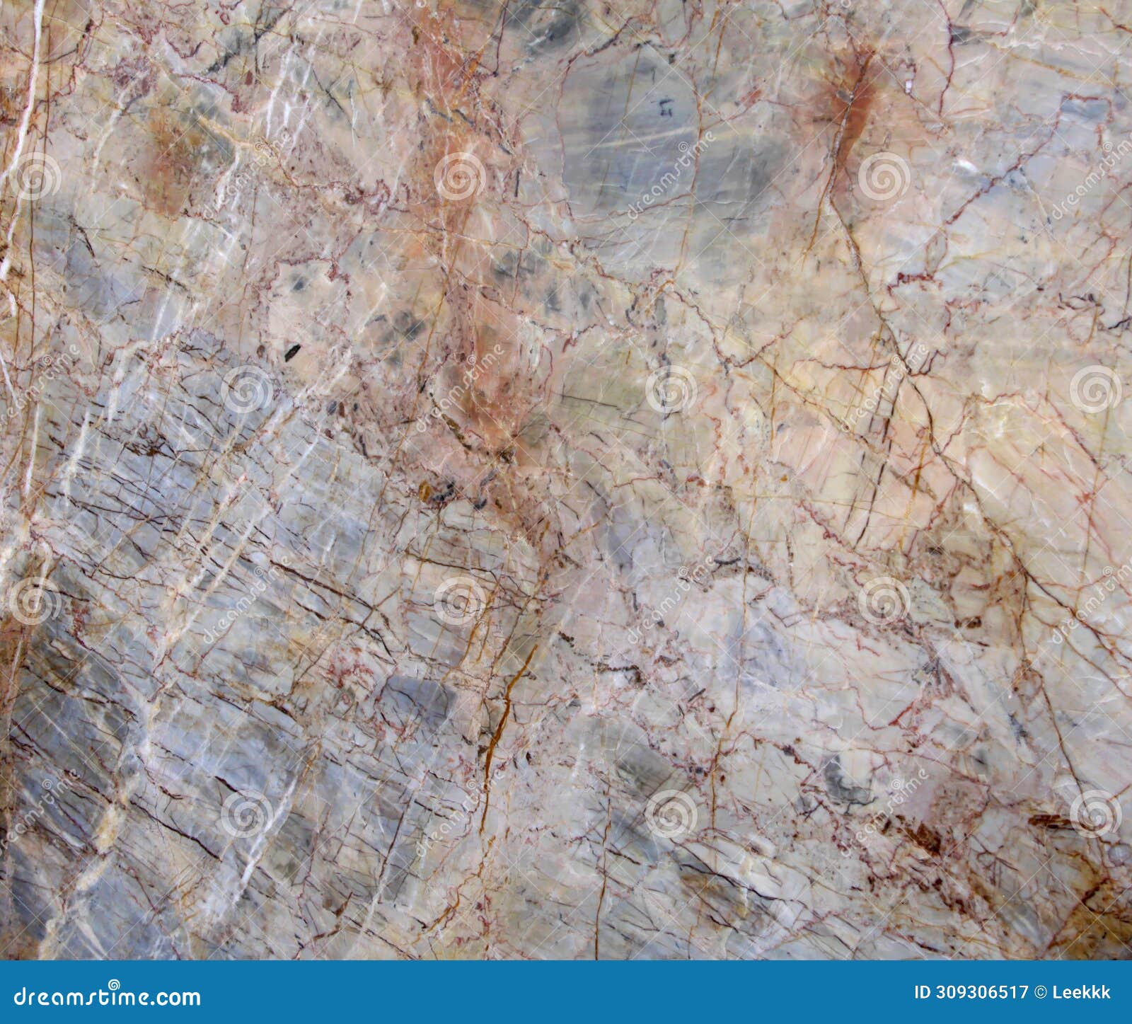 Spider Emperor Stone Plate Marble Background Grain Stock Image - Image ...