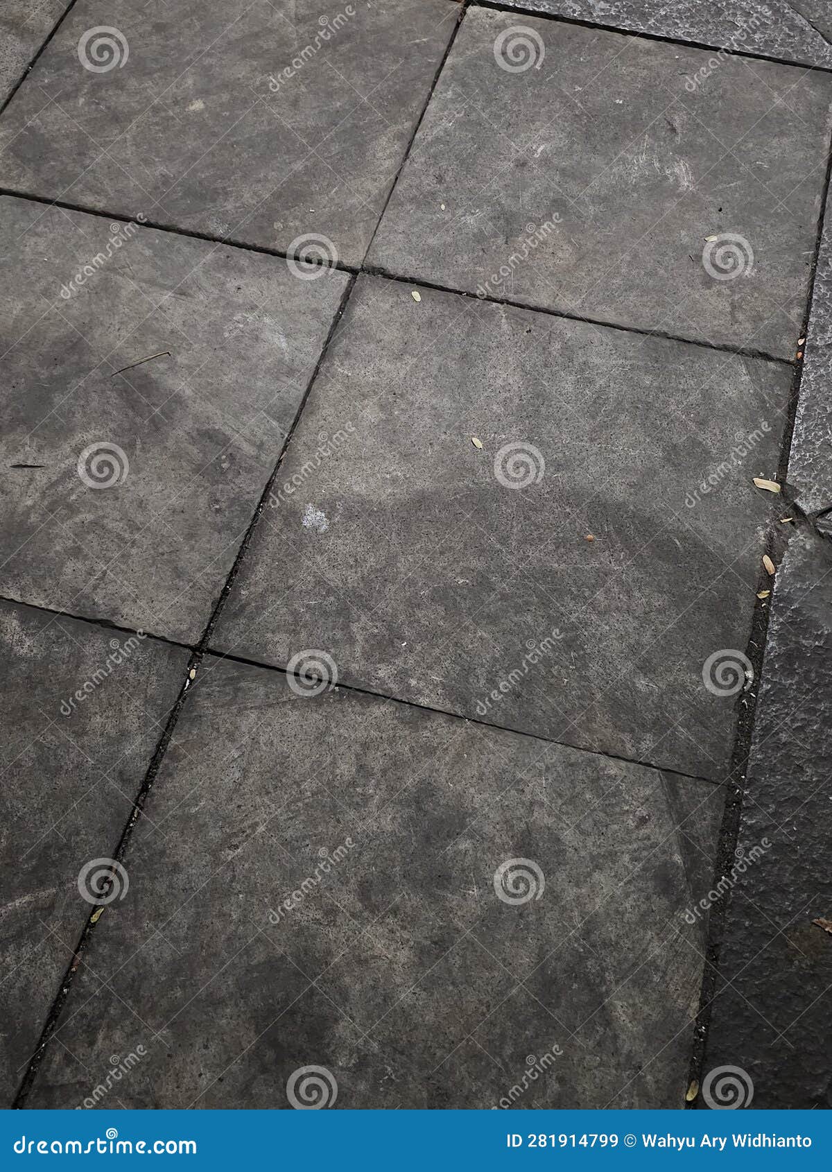Natural Stone Patches on the Walking Path Stock Image - Image of circle ...