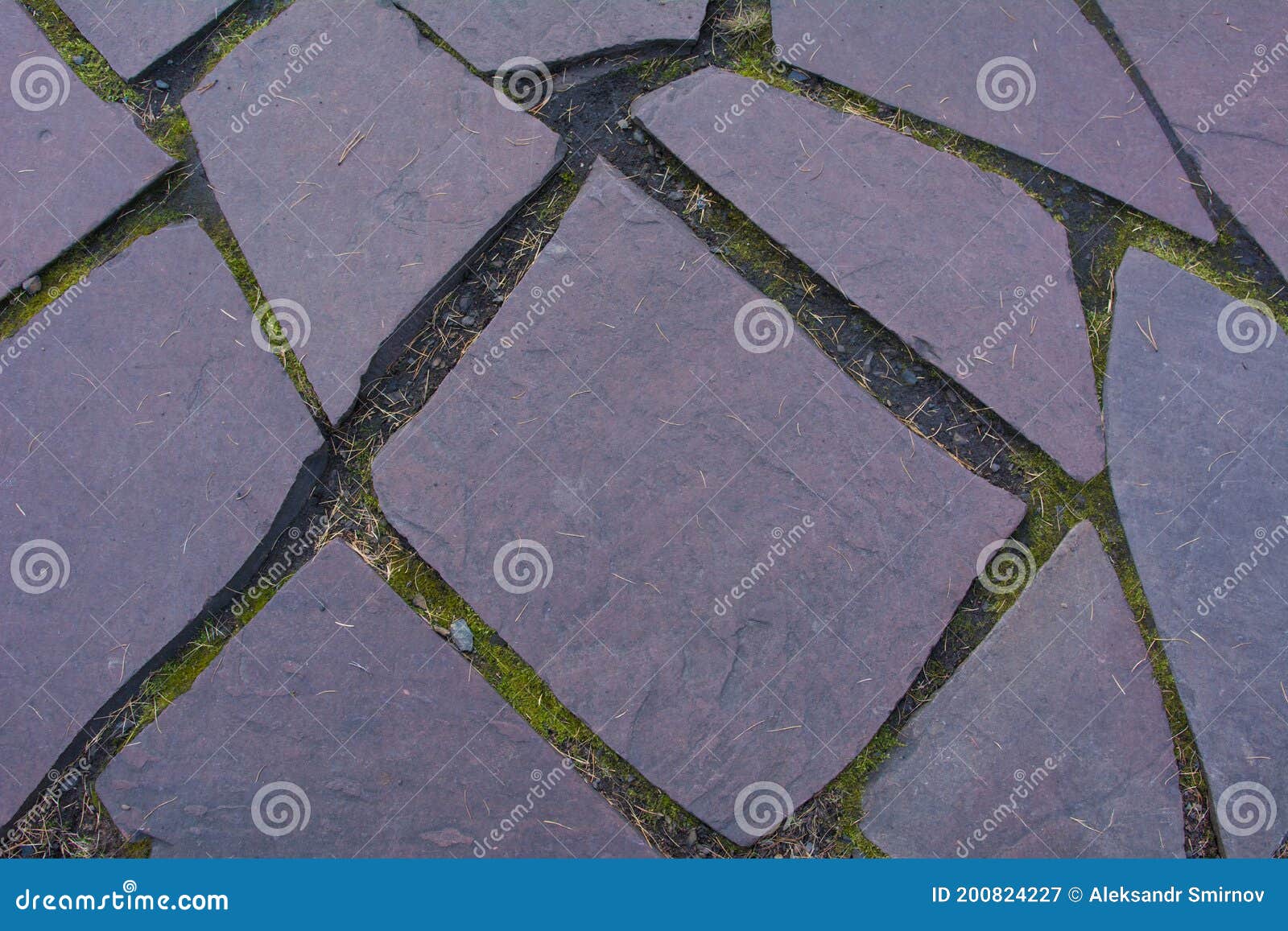 Natural Stone Path in the Forest Park Stock Image - Image of meadow ...